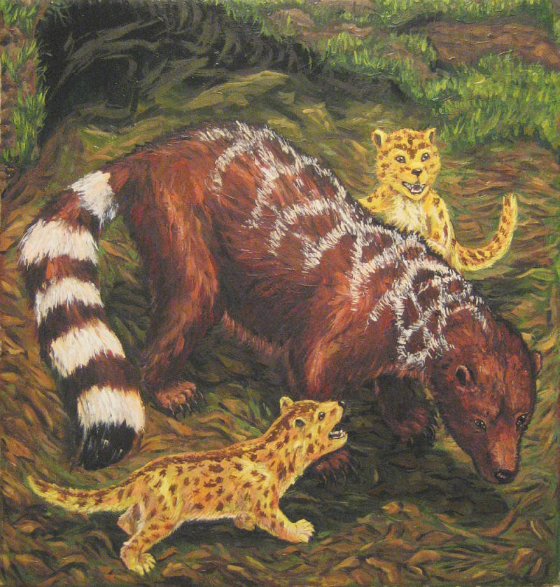 ArtStation - Ursine civet (Ursivetta aromatica)