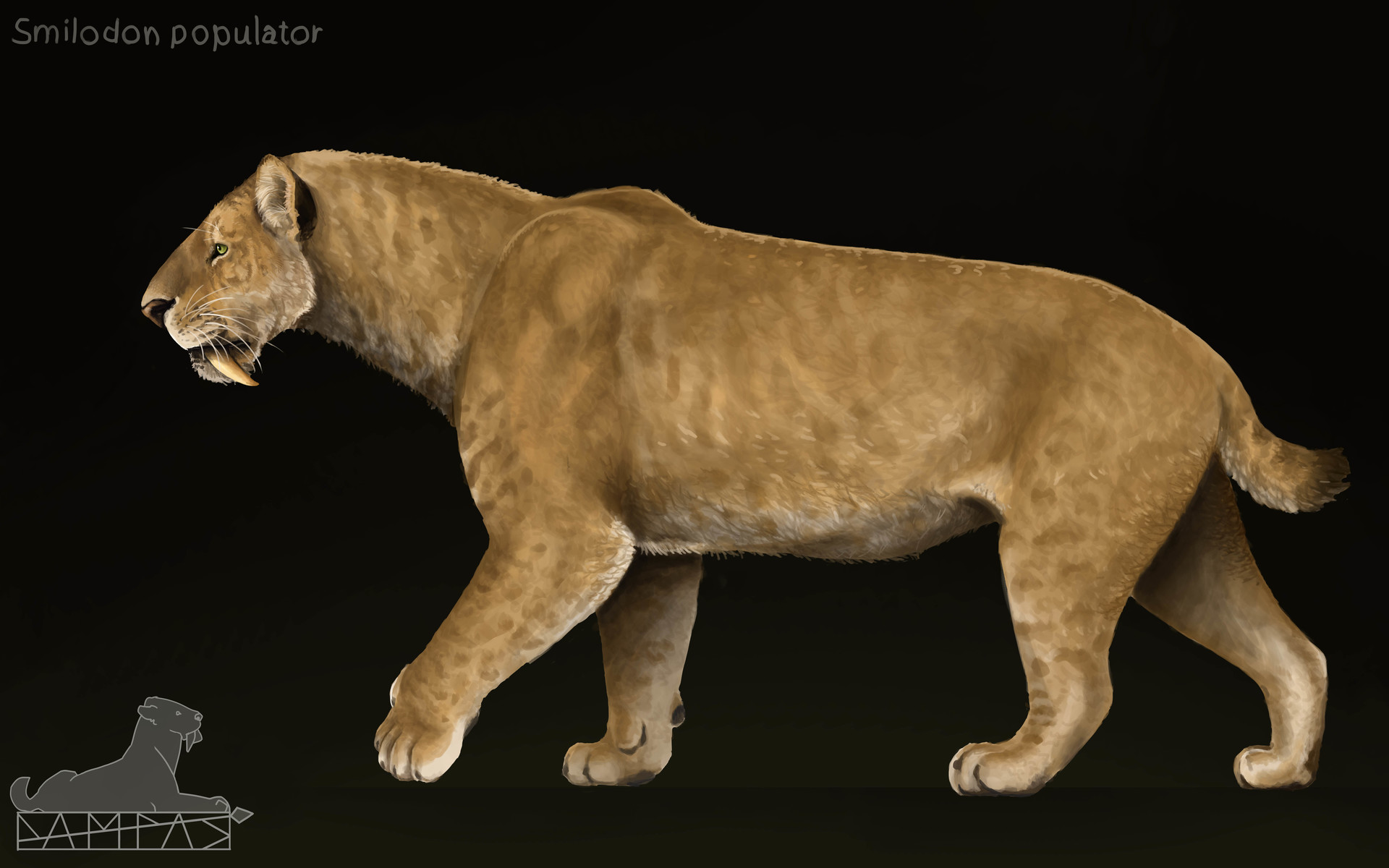 Alor Leonel - Smilodon populator