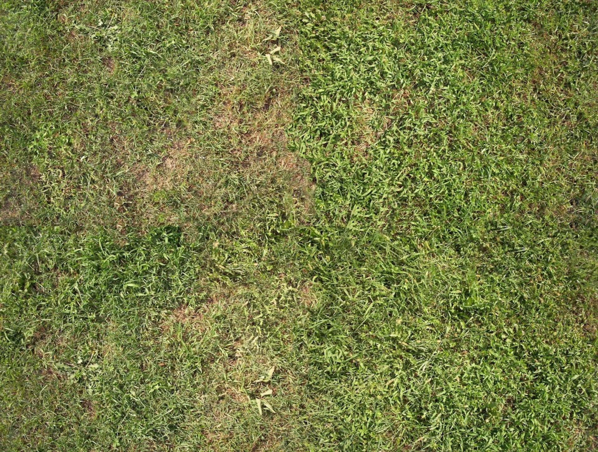 ArtStation - Texture made in Maya from scratch.