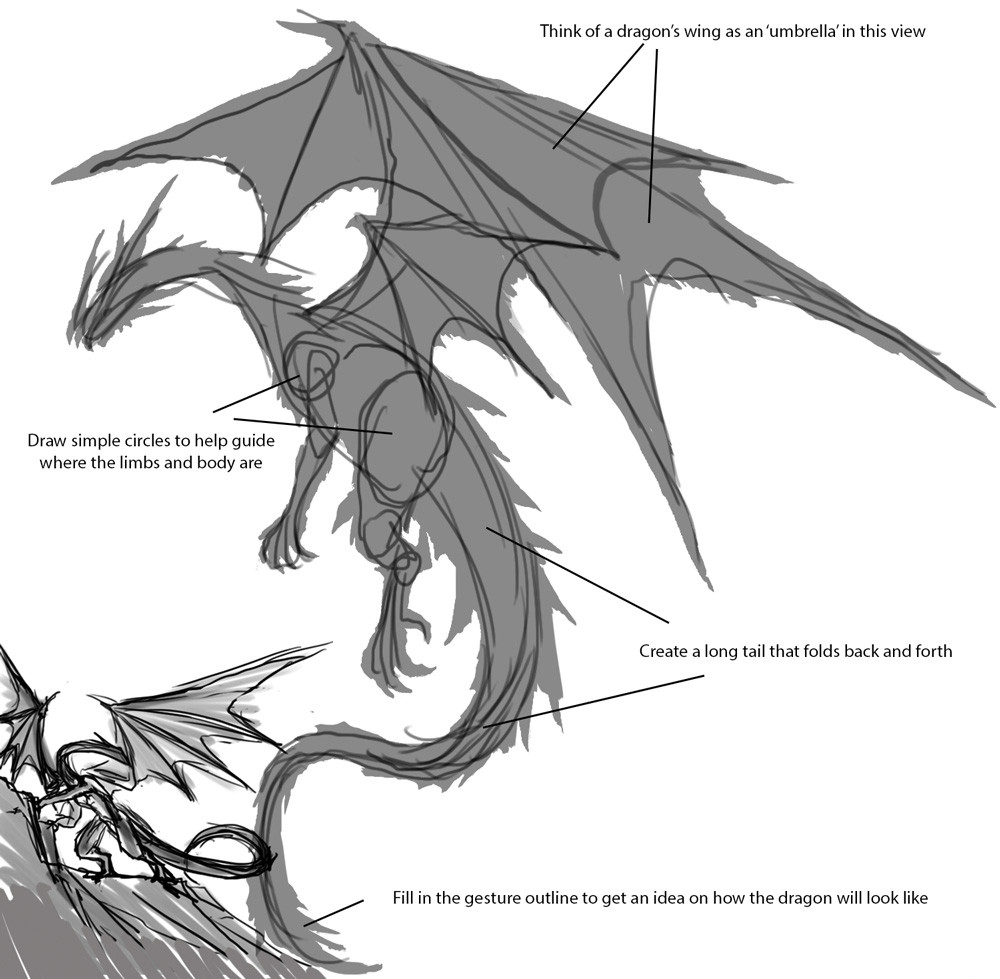 how to draw a dragon body