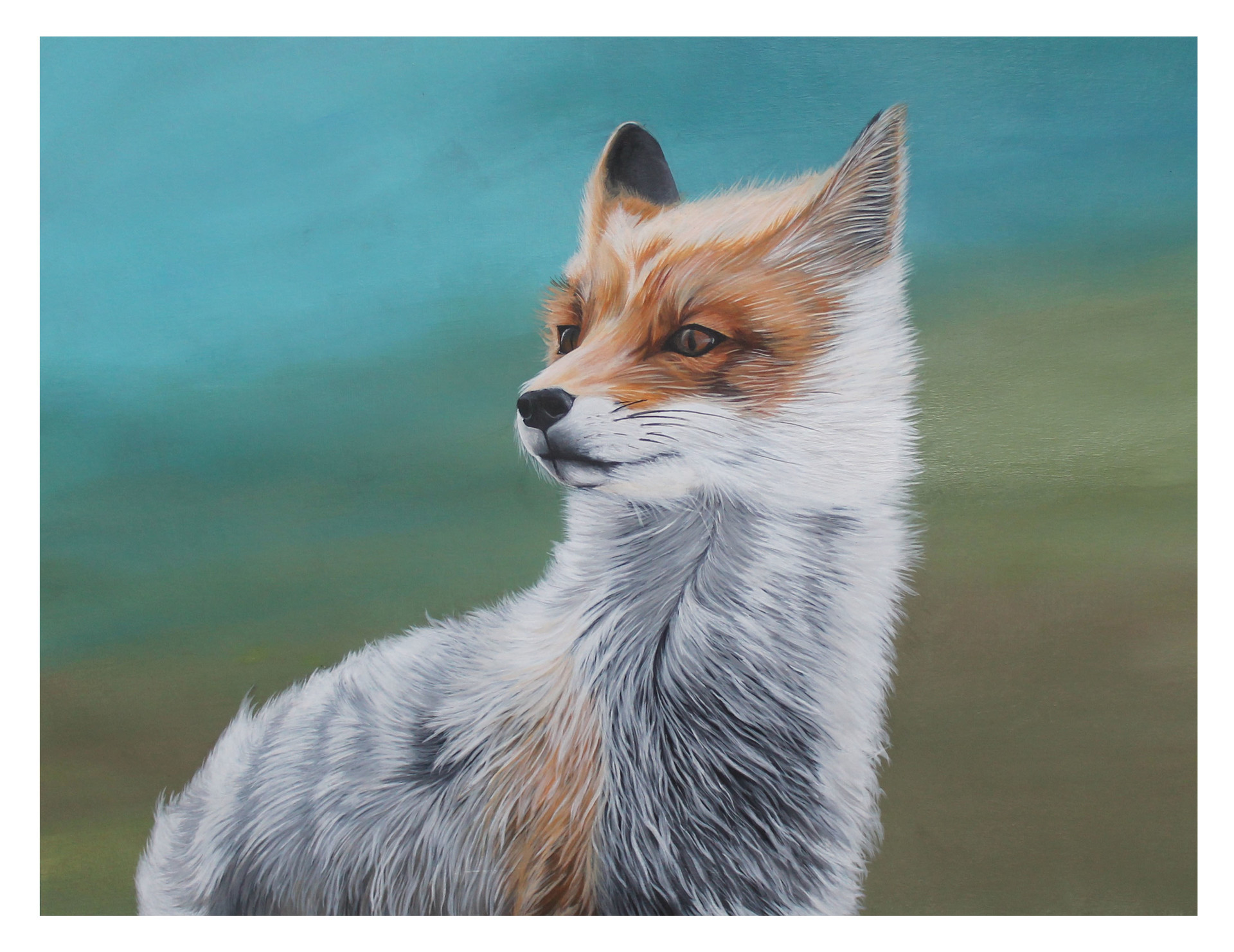 ArtStation - Fox Study