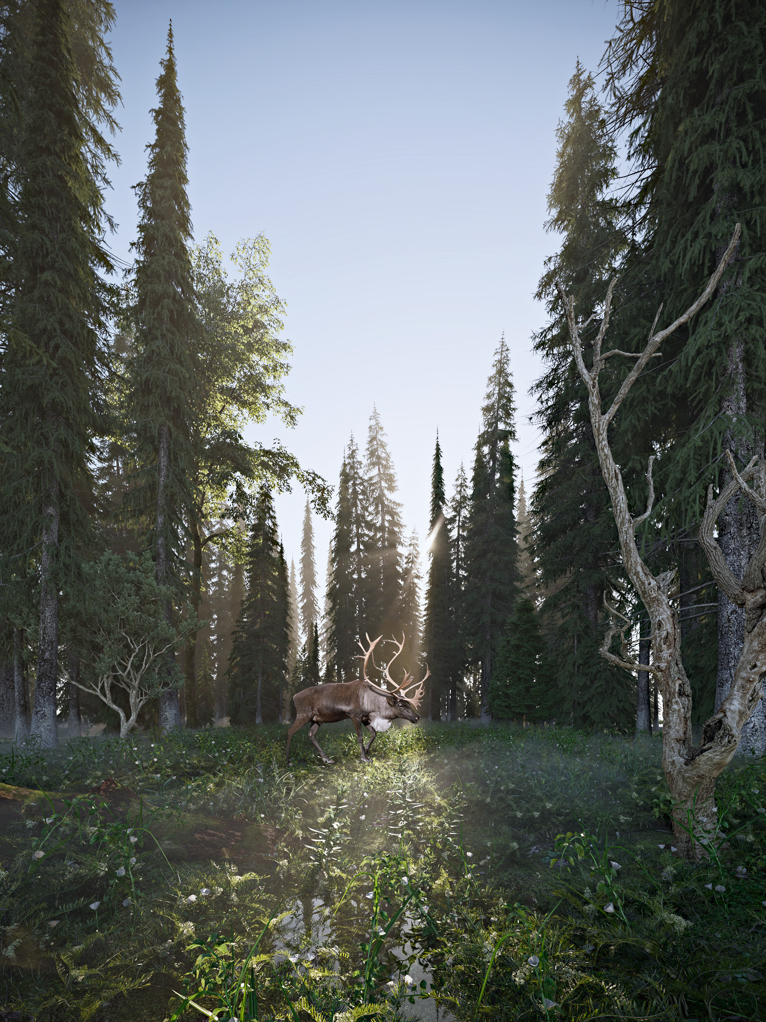 ArtStation - Forest