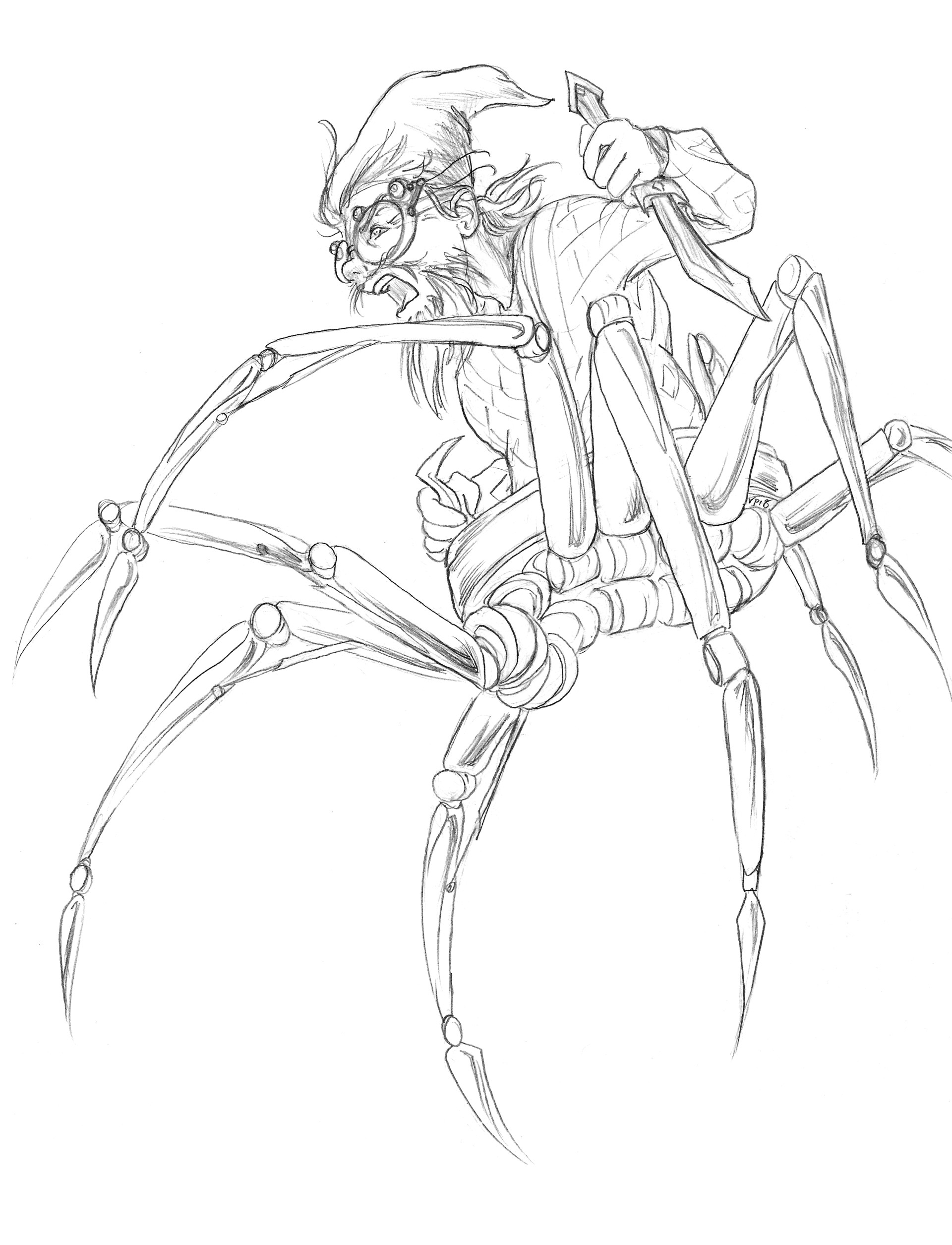 Northern Tinker Frog