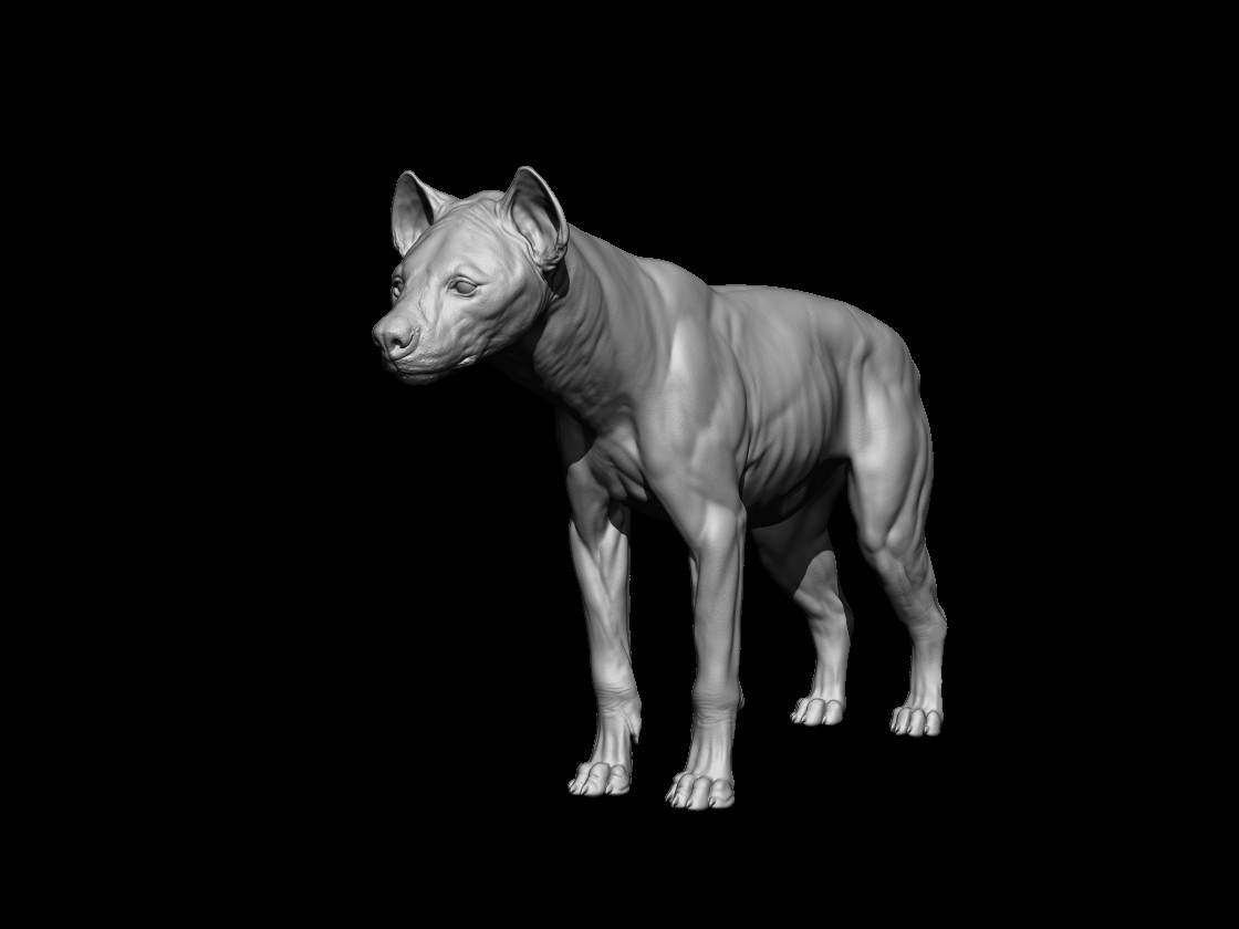 Aritz Basauri - spotted hyena