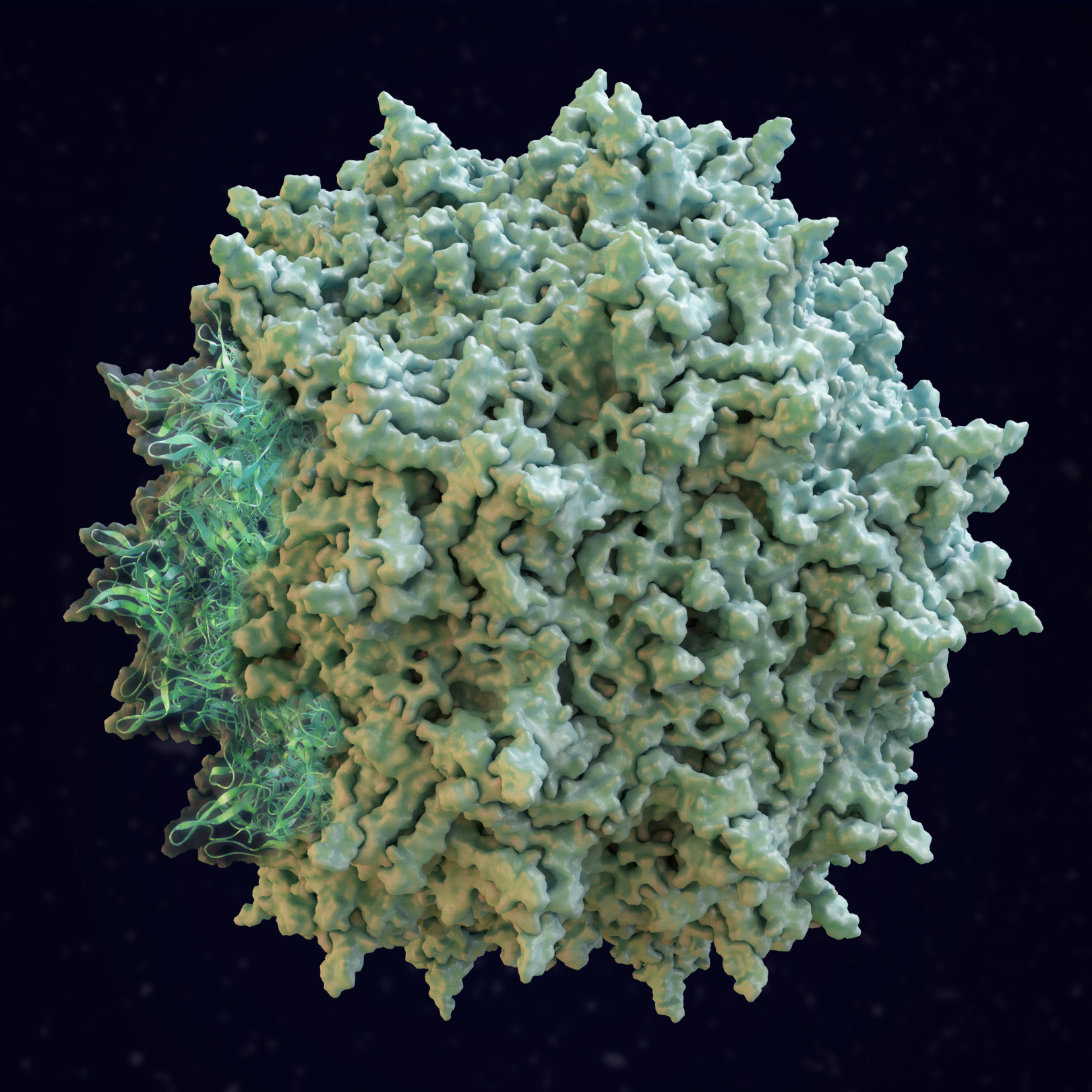 ArtStation - Adeno-Associated Virus