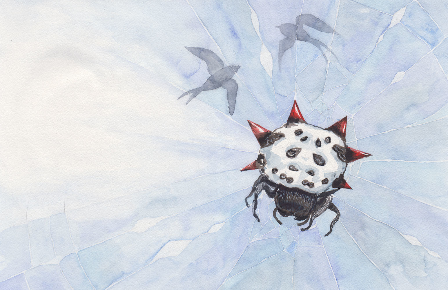 Irina Romanovsky - Watercolor illustrations for a Spider book.