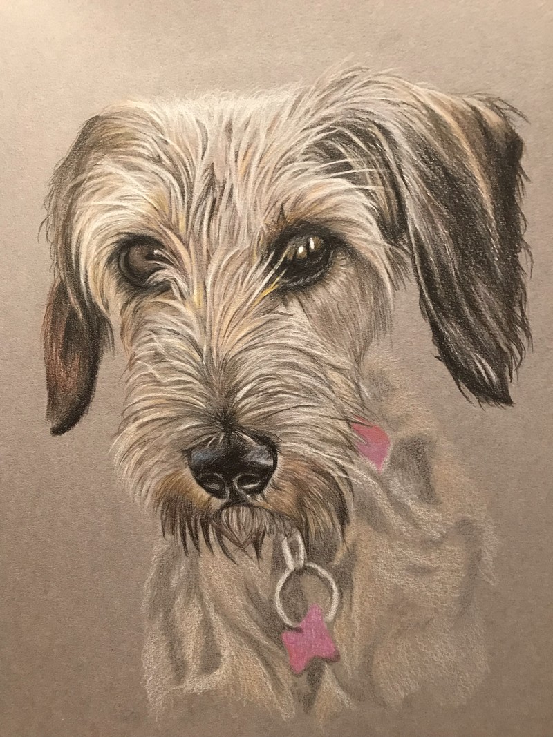 ArtStation - Terry Atkinson