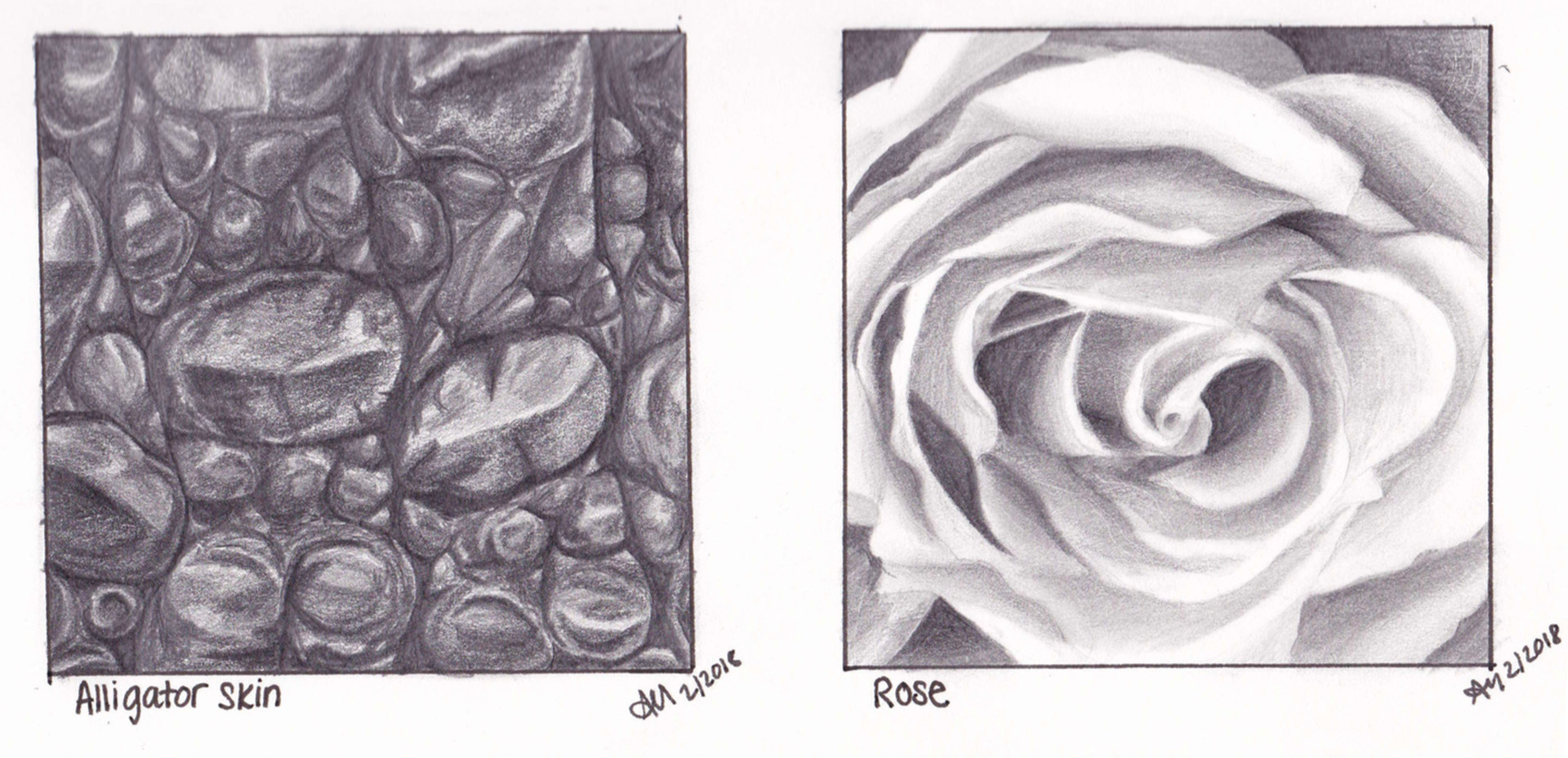 ArtStation - Texture Study