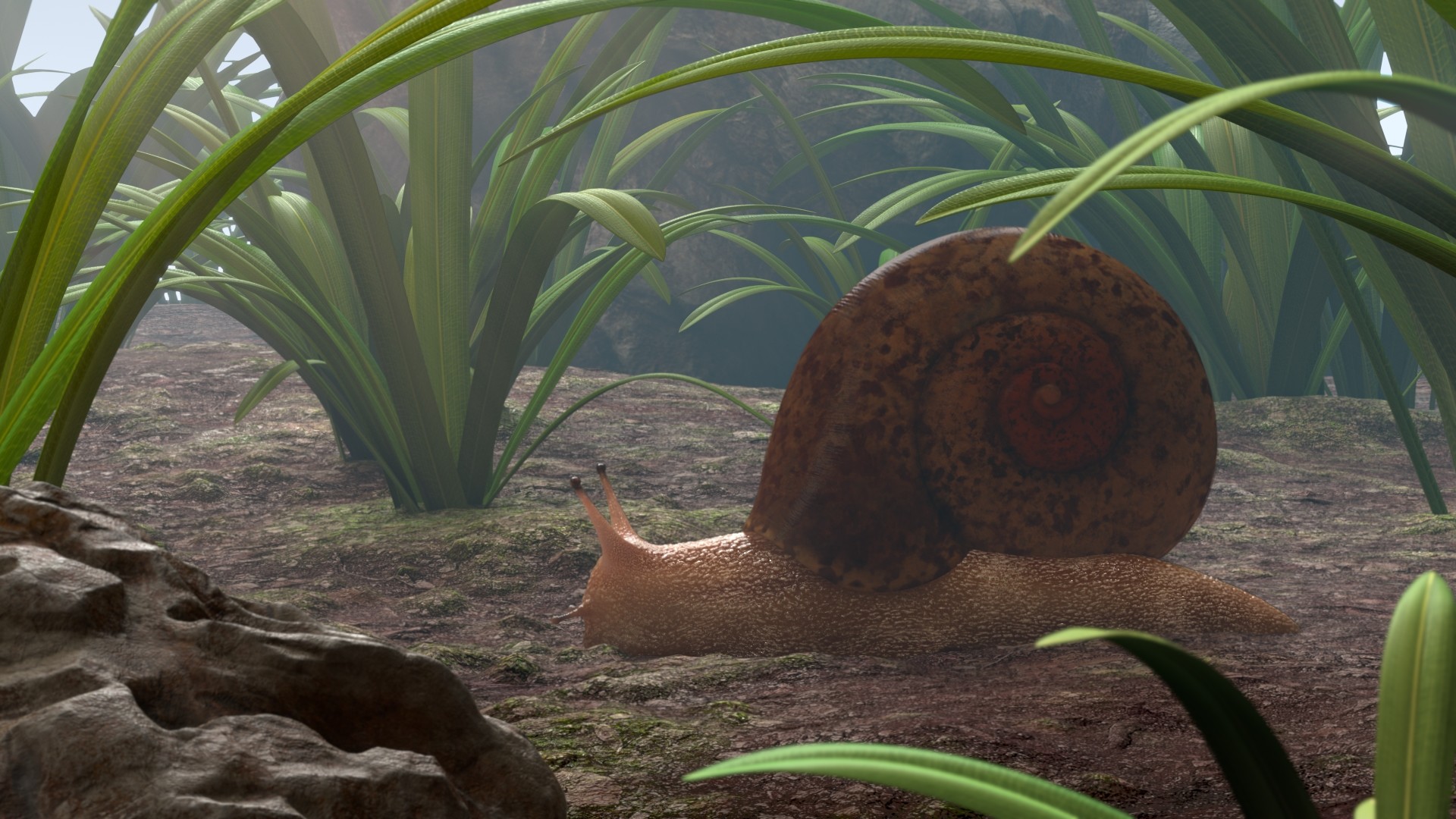 ArtStation - Snail