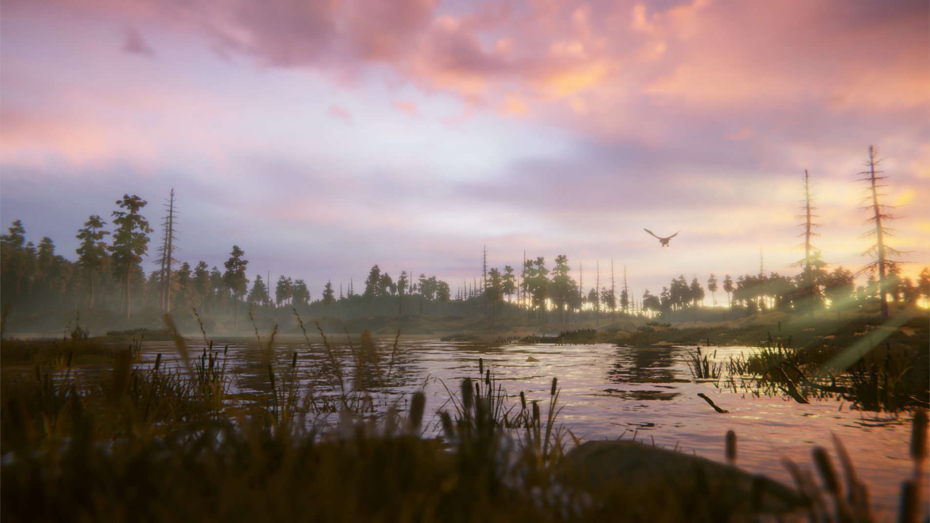 ArtStation - Unity - Hunting Sim