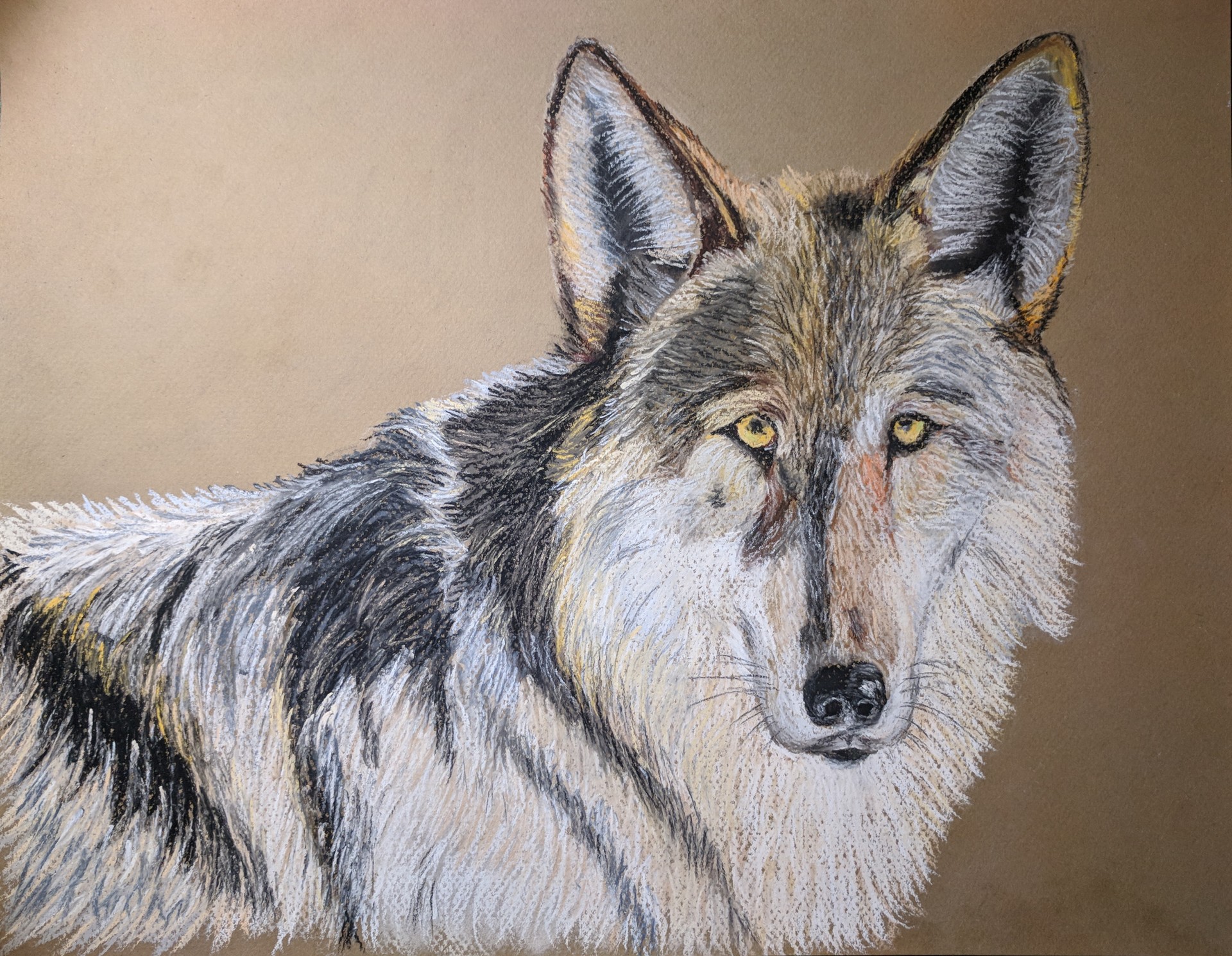 ArtStation - Wolf portrait