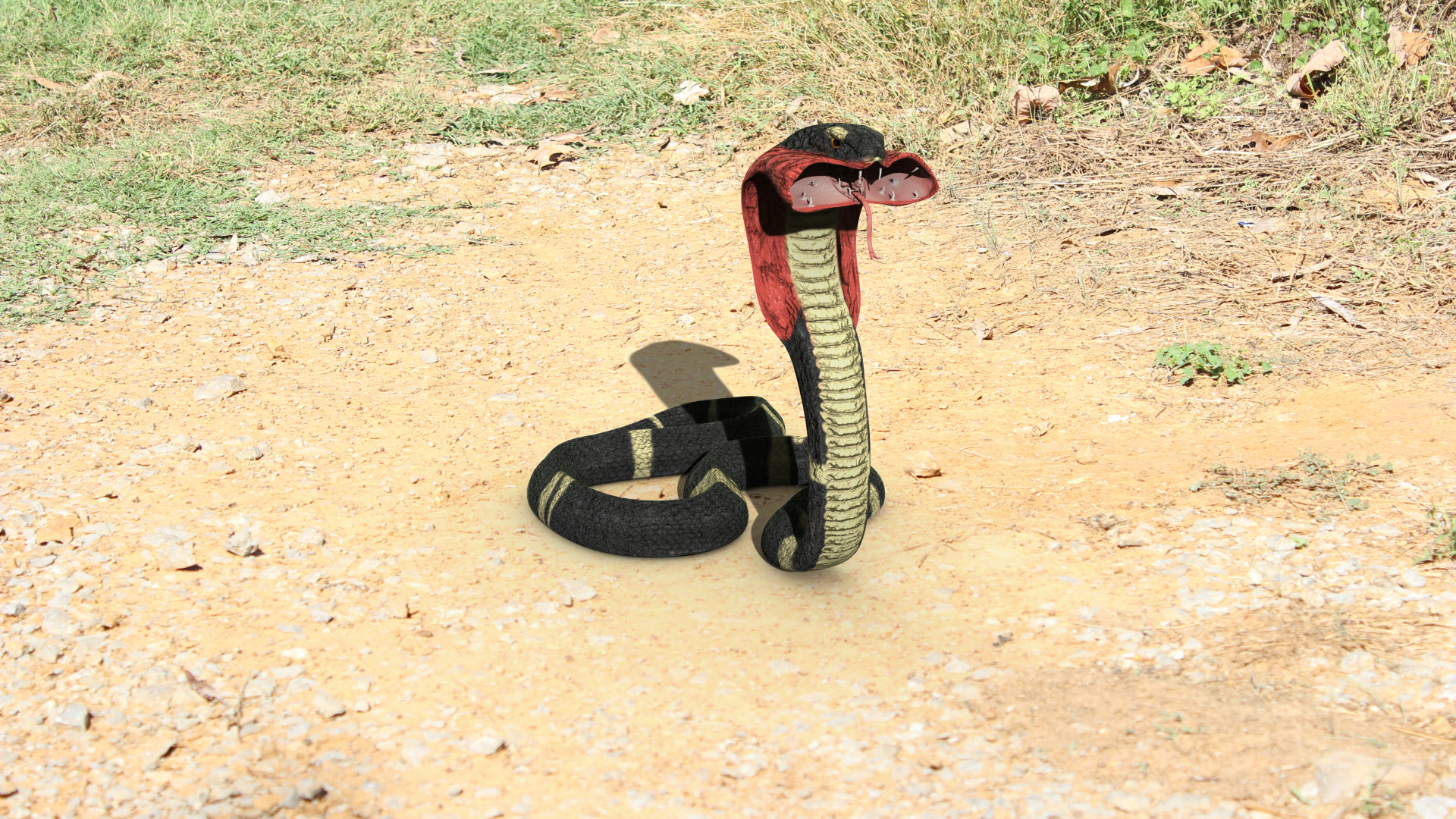 ArtStation - Snake, animal combination, Obscure Pixel