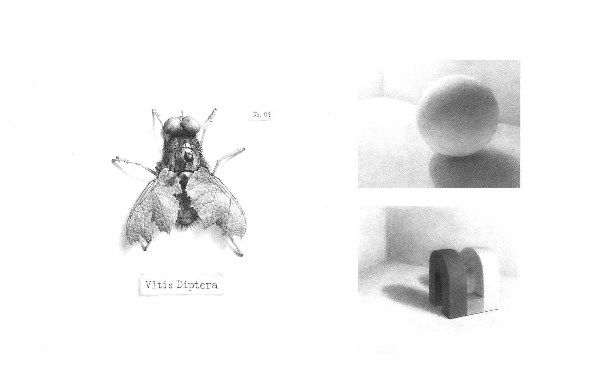 ArtStation - Graphite Rendering Practice