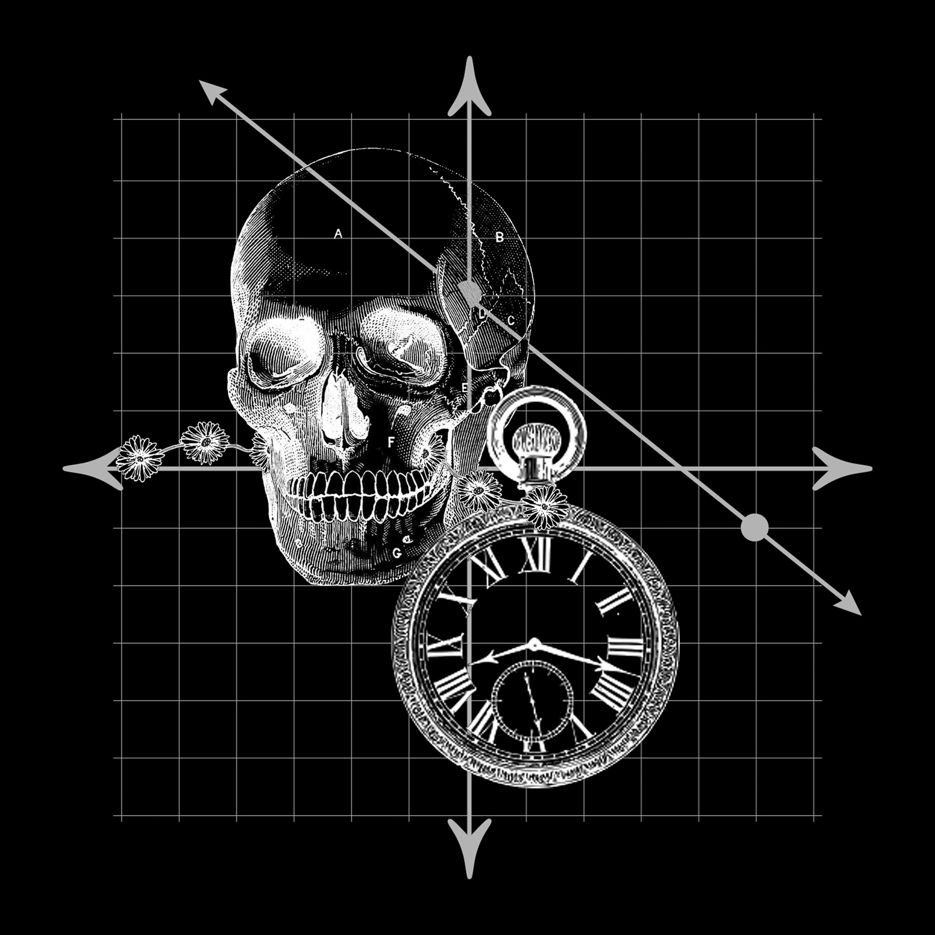 Artstation Skulls And Borrowed Time