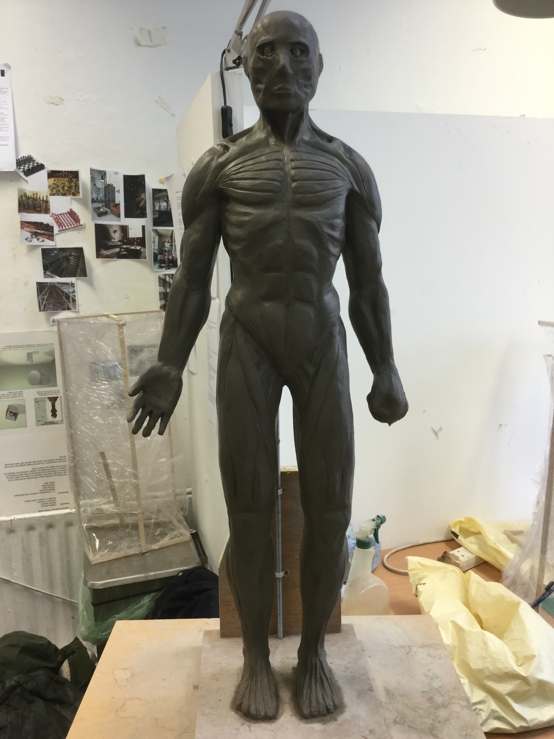 ArtStation - Anatomical Sculpture