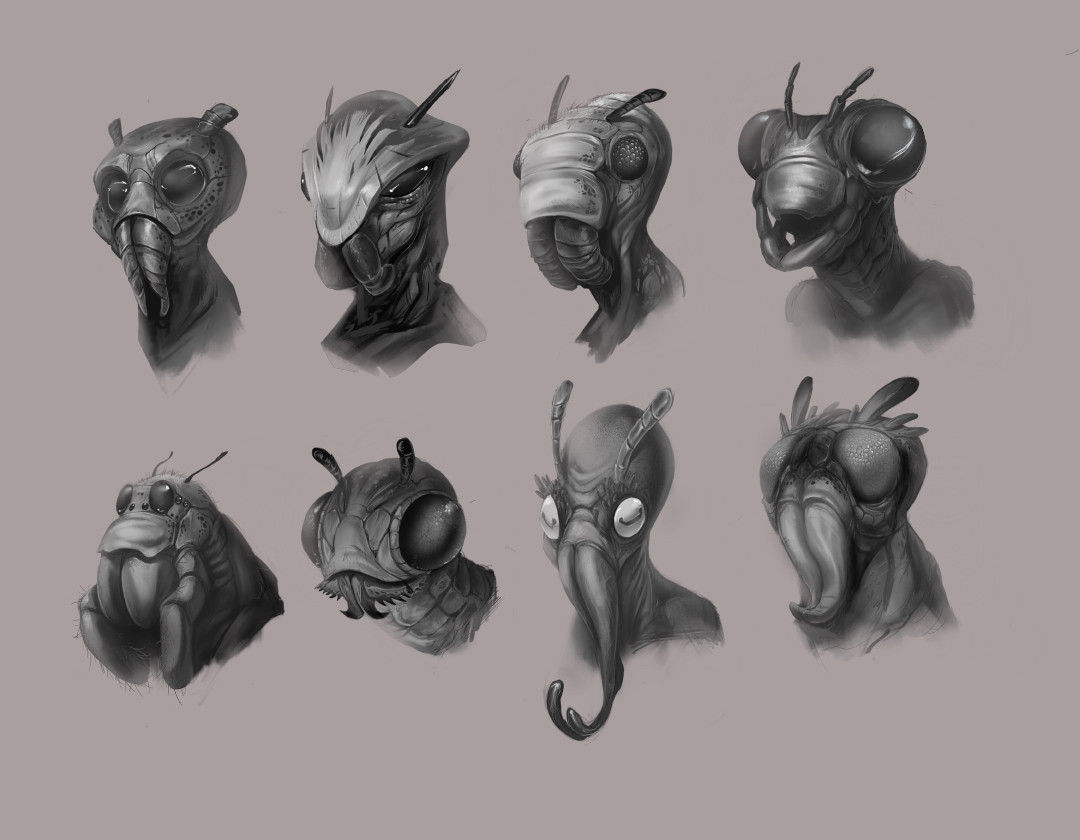 Giova Favazzi - Gromflomites