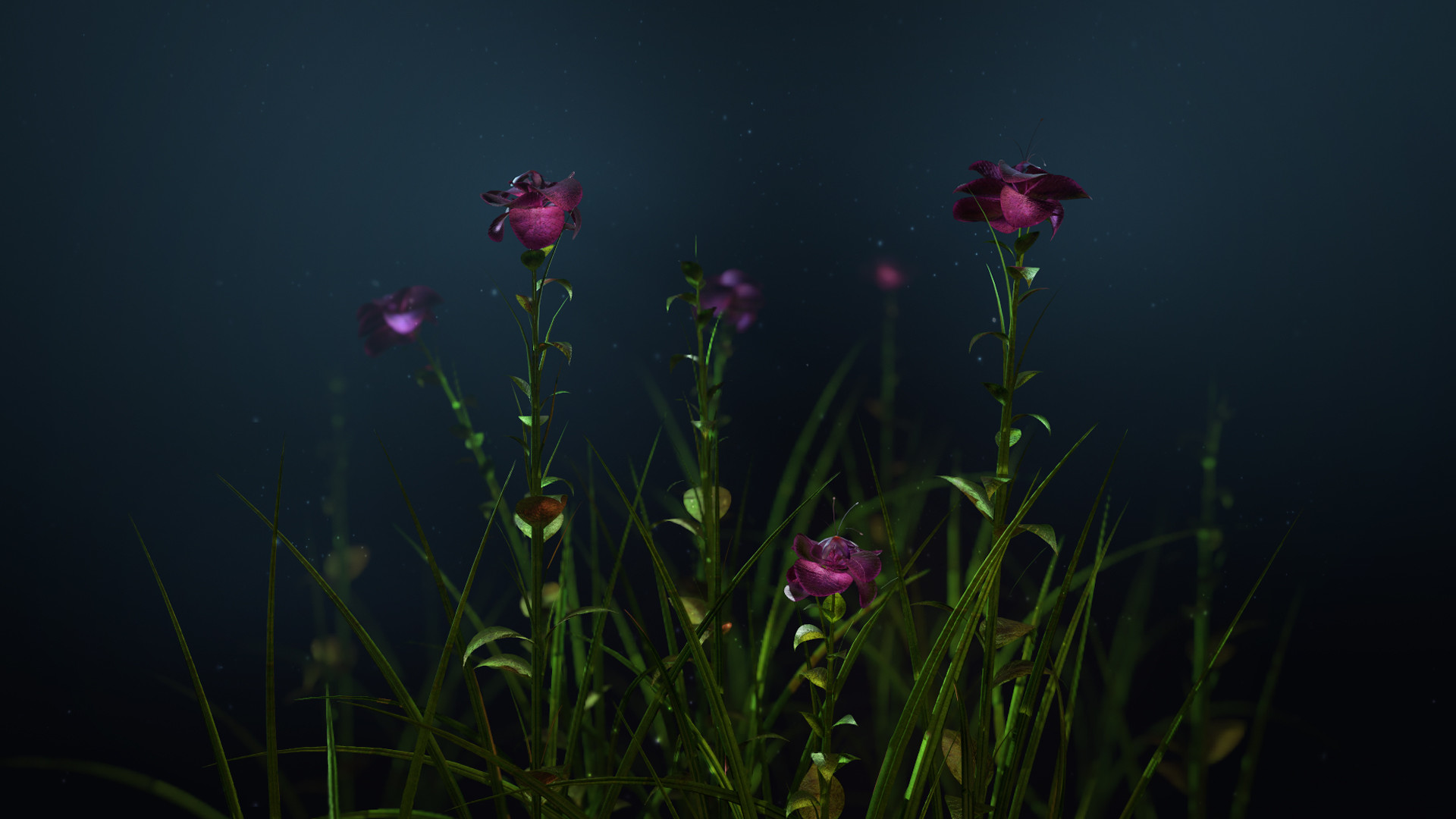 Dmitry Dovgal - Procedural Flower (Substance Designer)