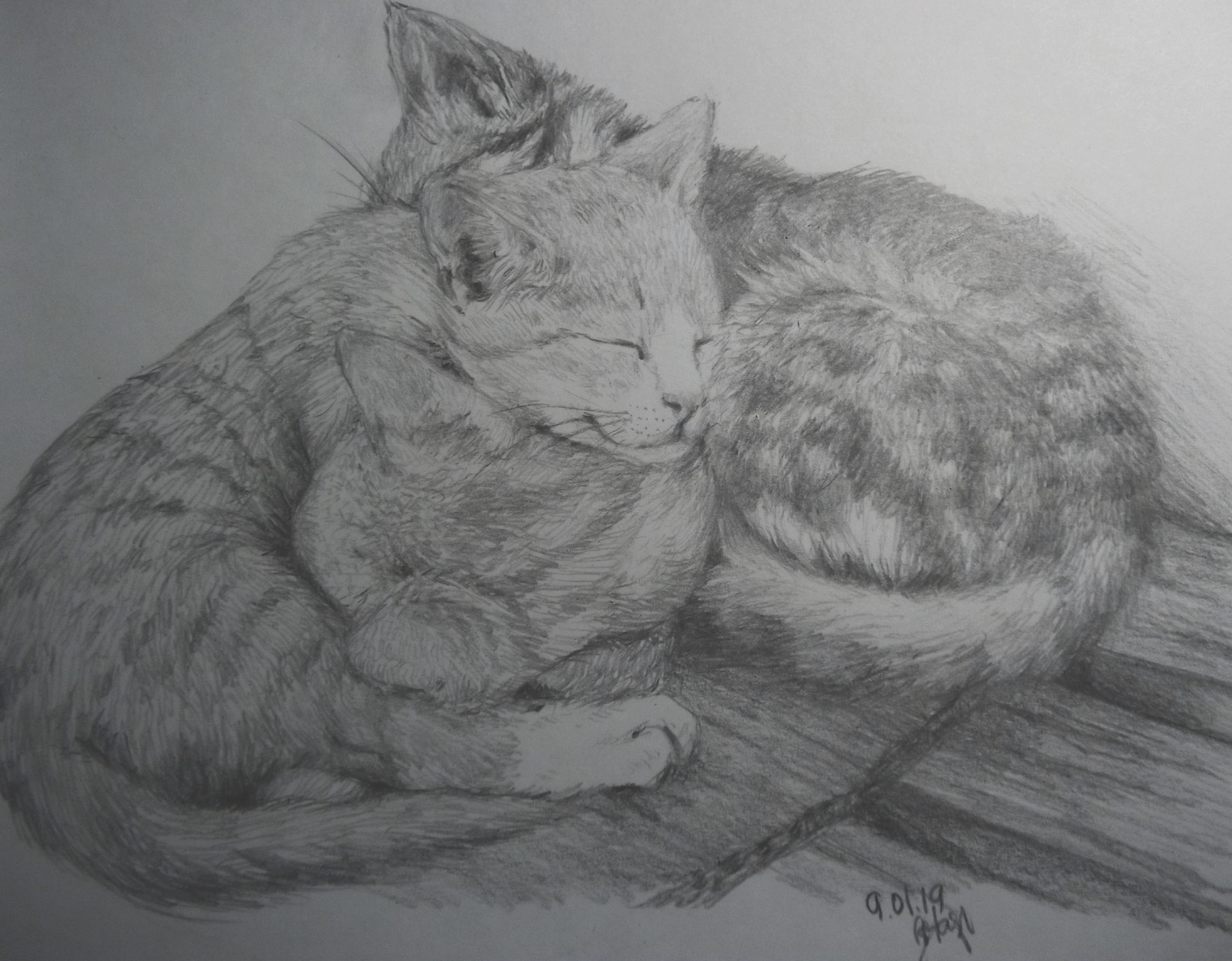 ArtStation - Stray kittens