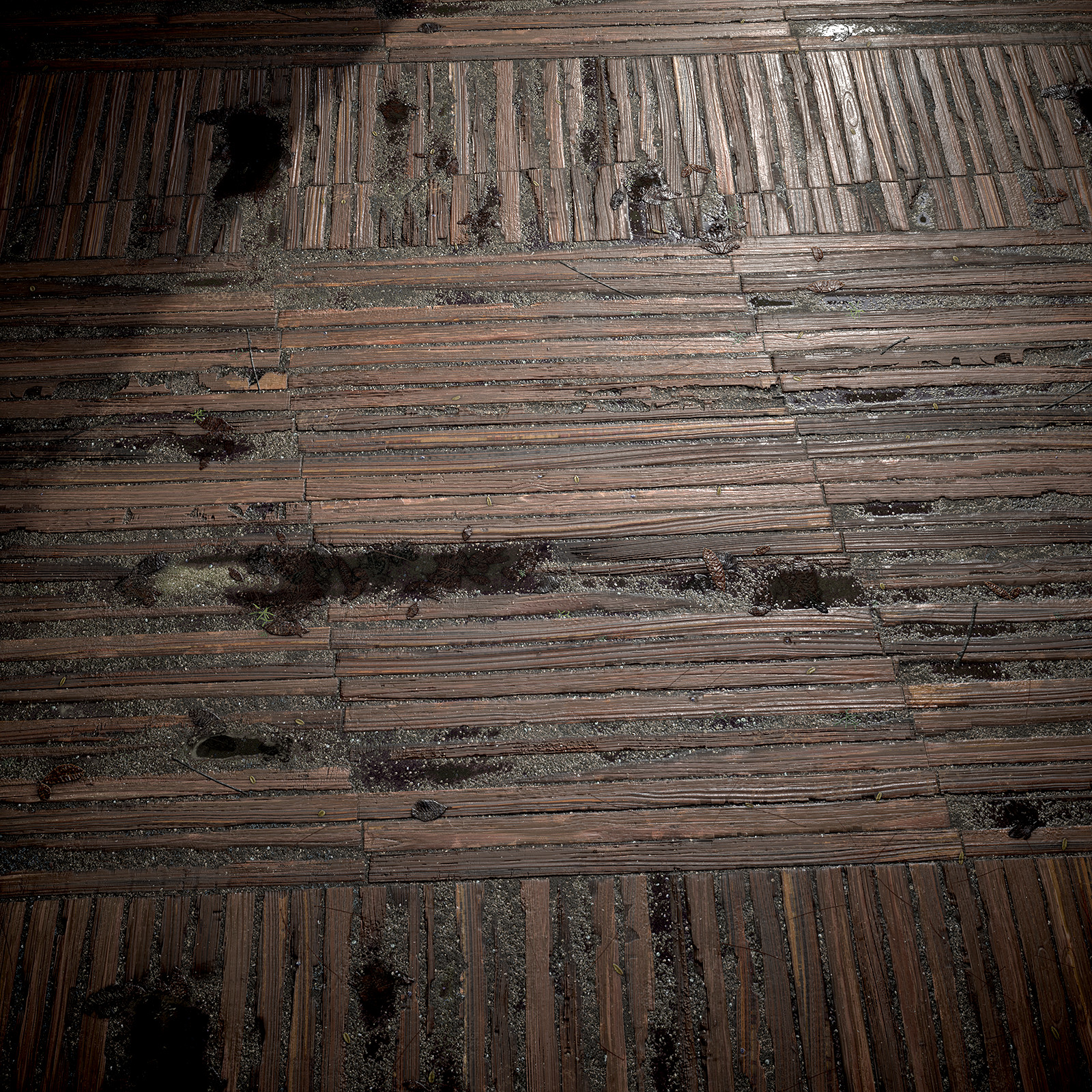 Rachel Bews - Shambled Dock