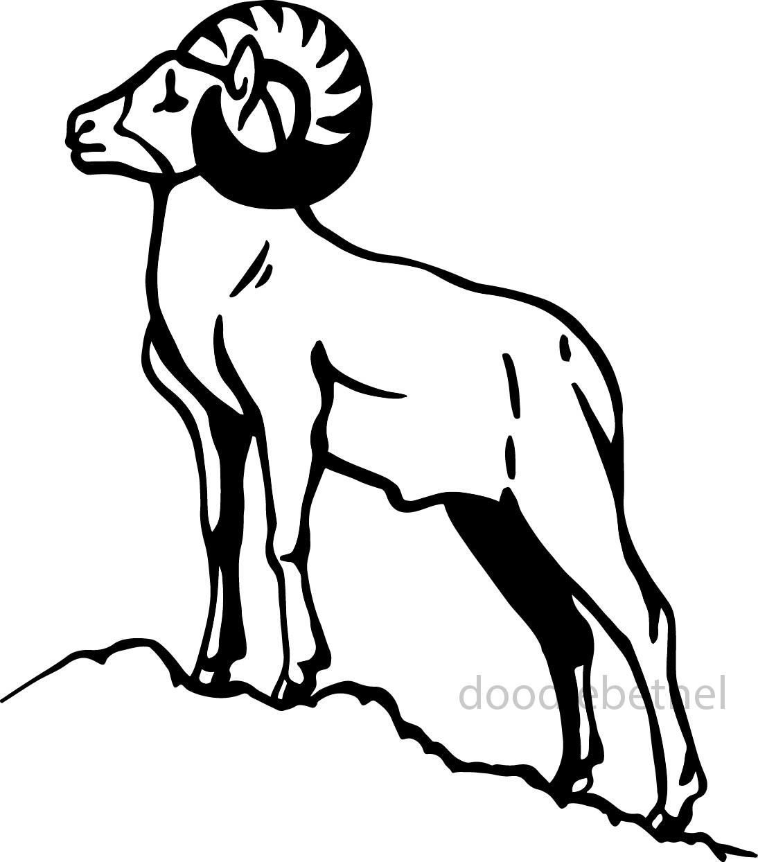 Desert Bighorn Sheep Drawing
