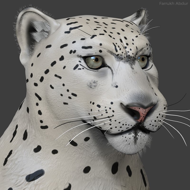 Farrukh Abdur - 3d Artist - Snow Leopard - Art