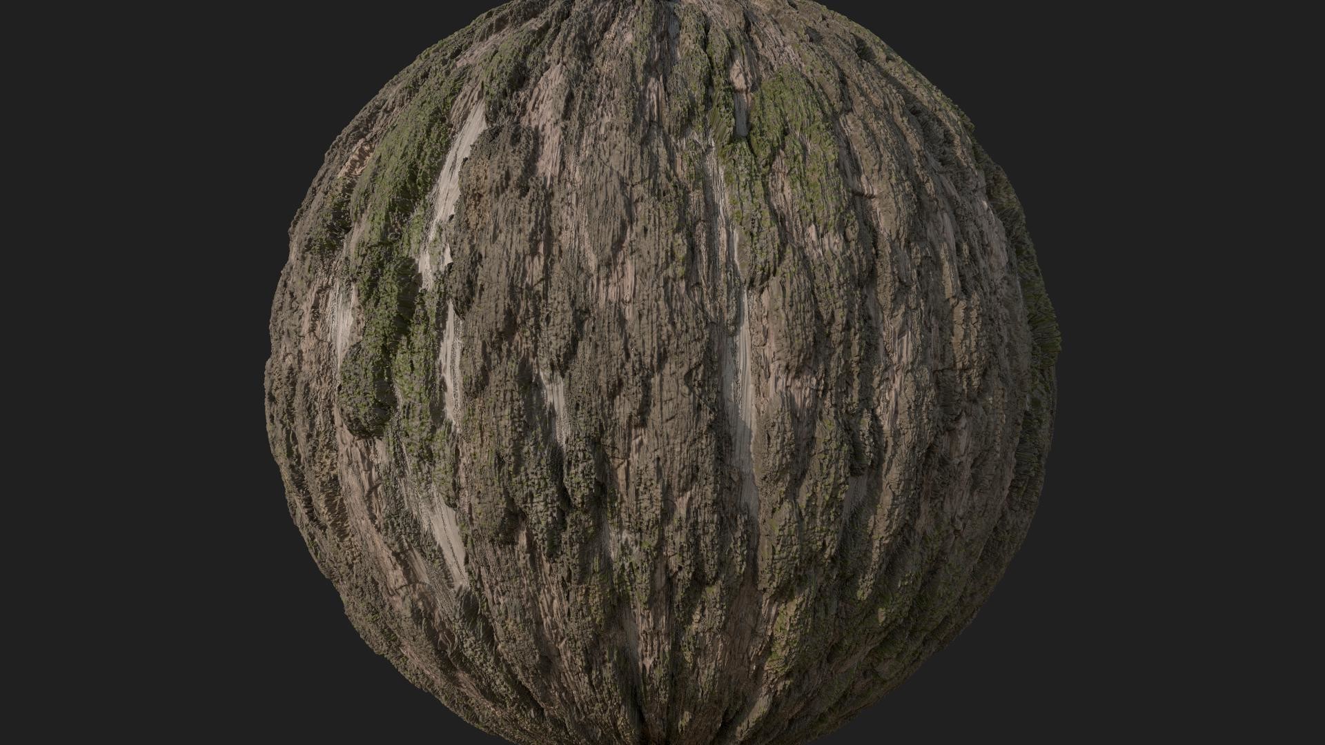ArtStation - Tree Bark Texture