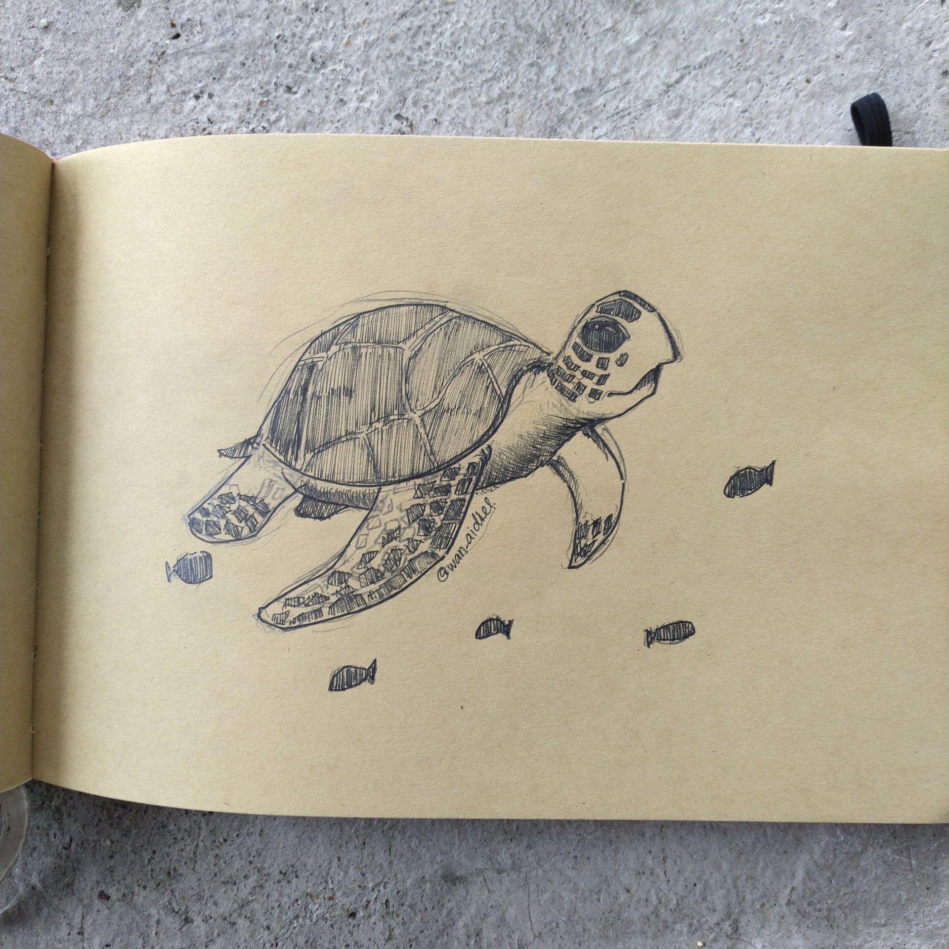 ArtStation - Turtles