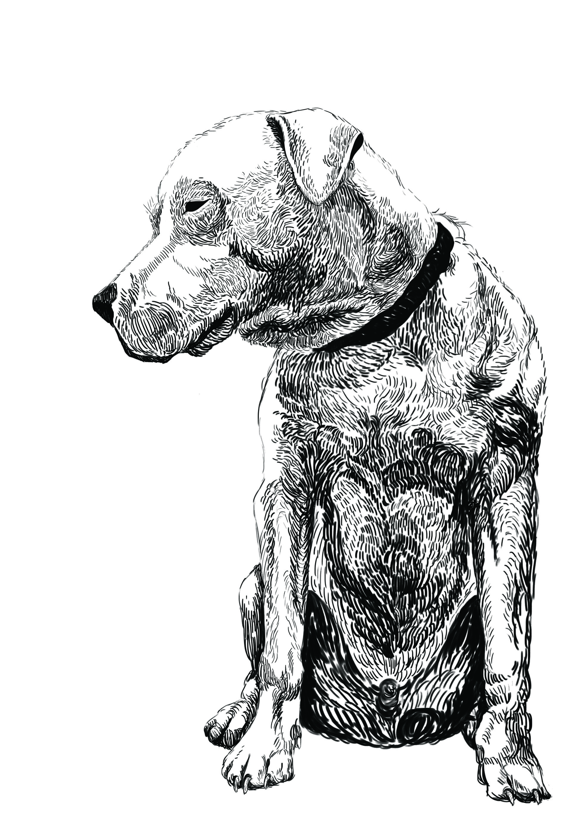 ArtStation - Linear Value Study