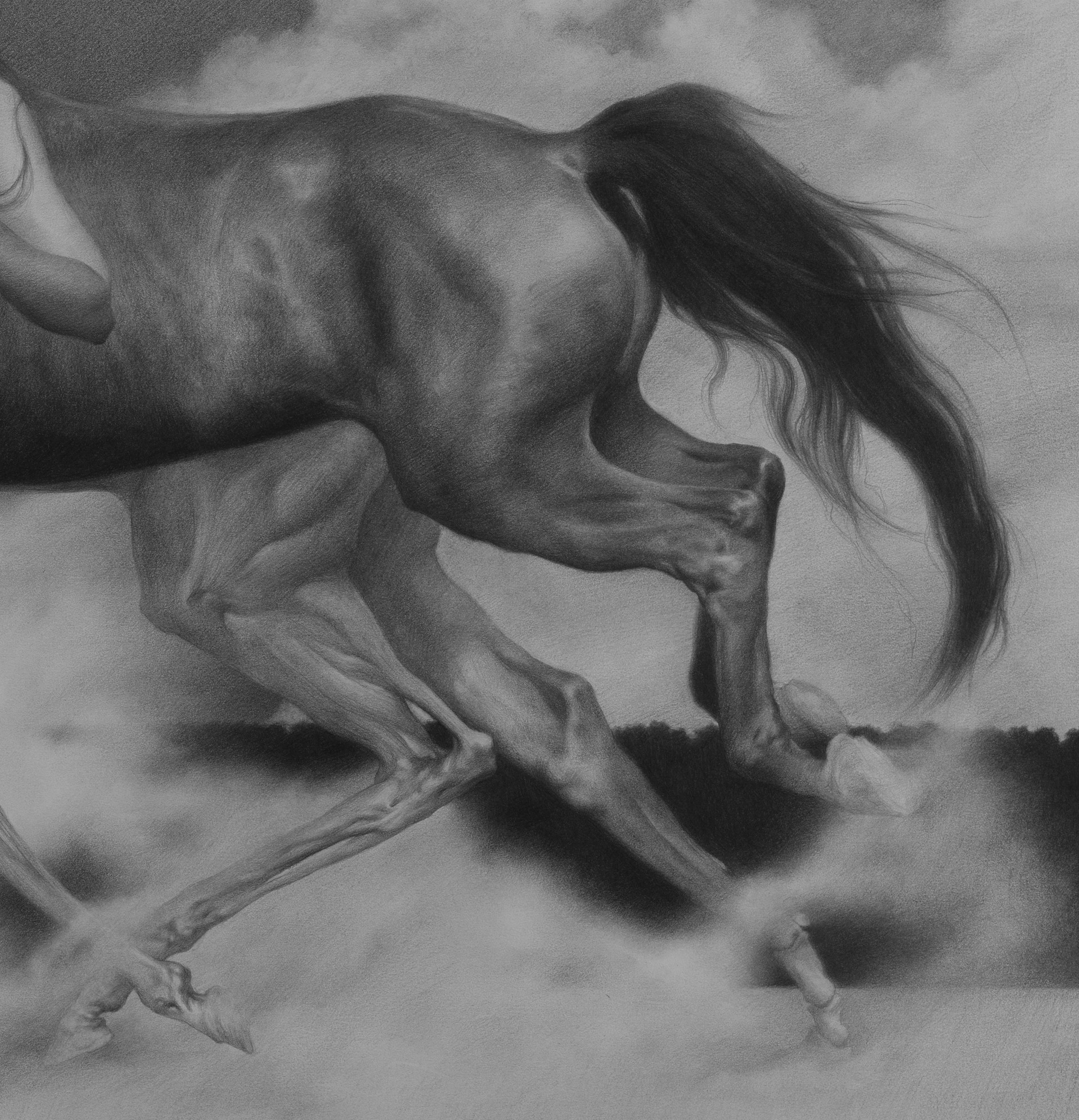 theodora daniela capat