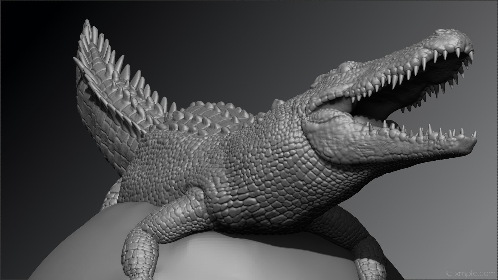 Sandeep Gehlot - Crocodile