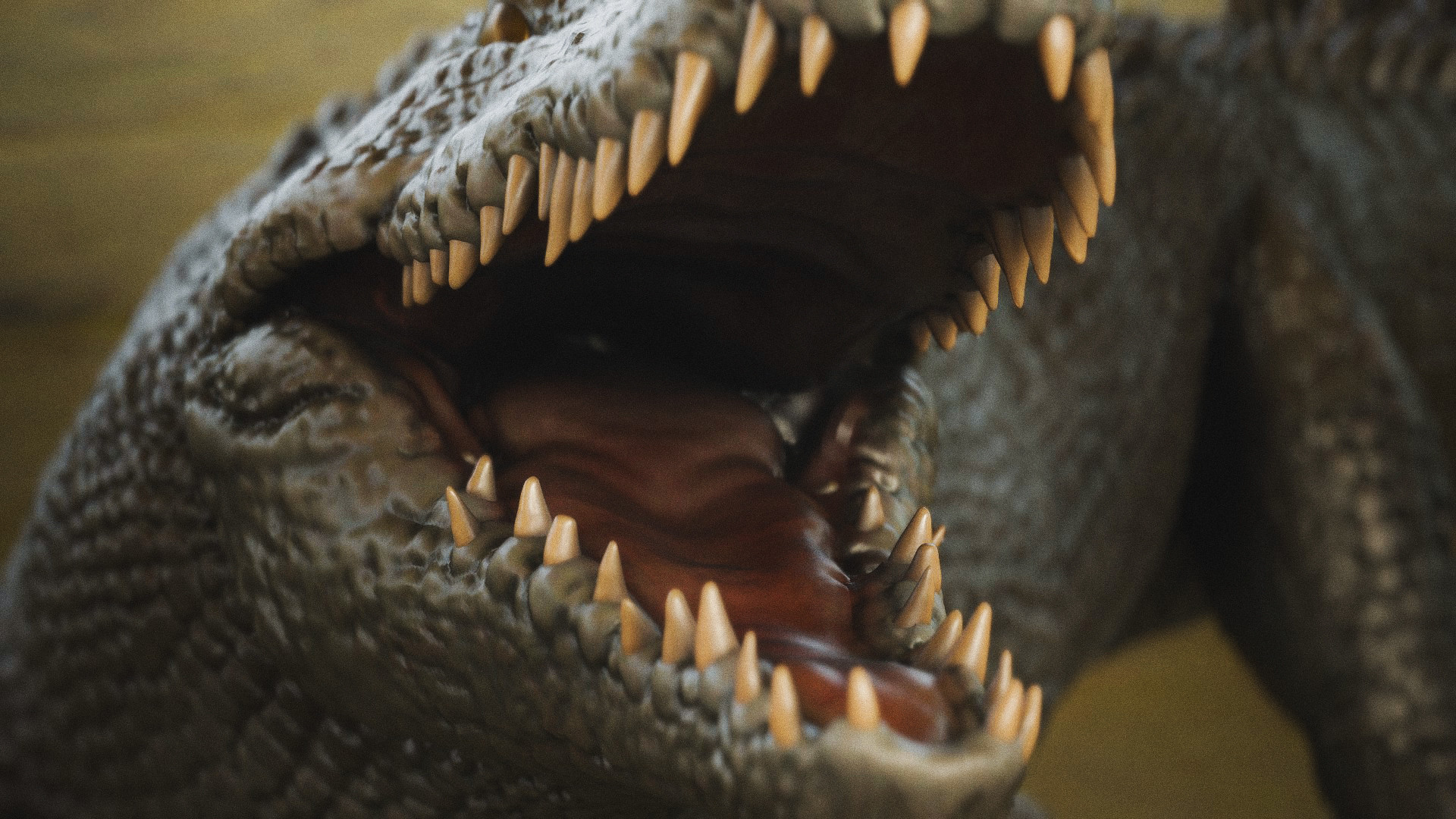 Sandeep Gehlot - Crocodile