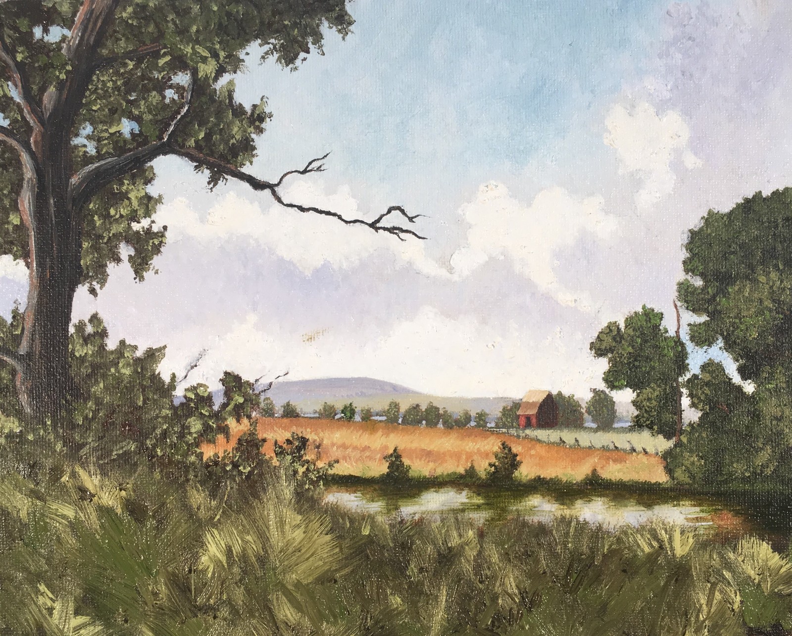 Hannah May - Ward's Farm