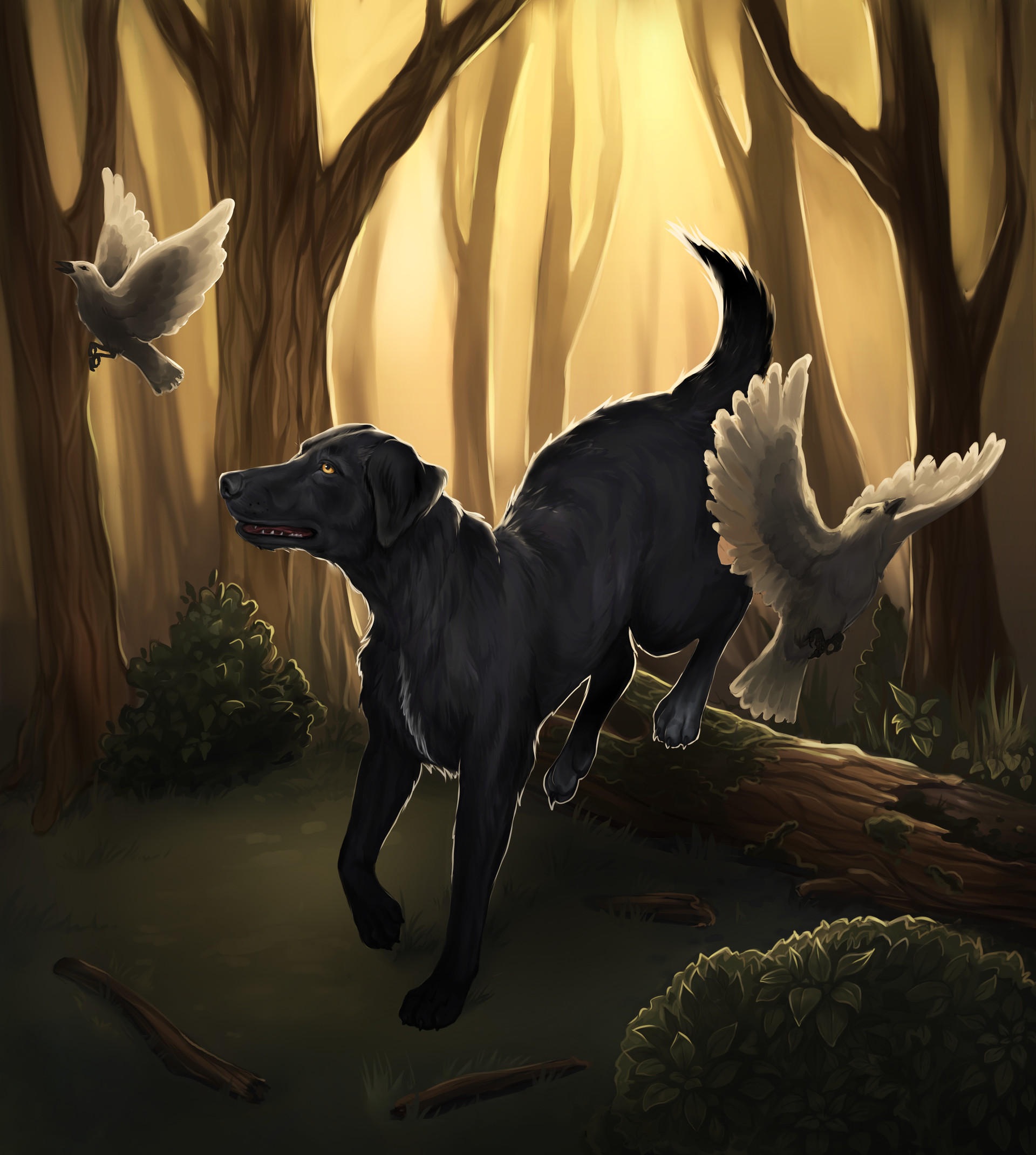 ArtStation - Black Dog