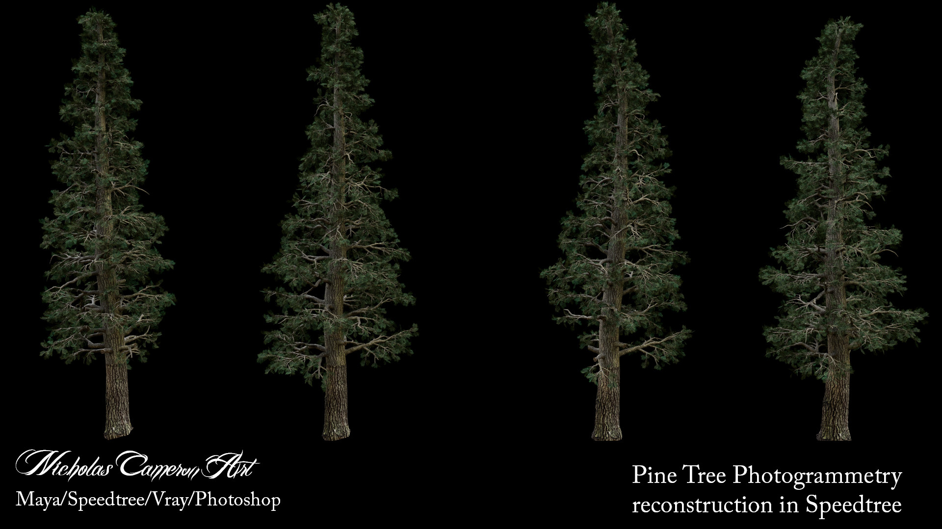 ArtStation - Pine Tree Scan reconstruction with SpeedTree