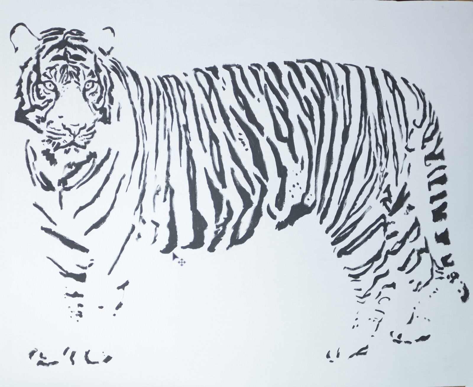 Jan Wysocki - the Tiger