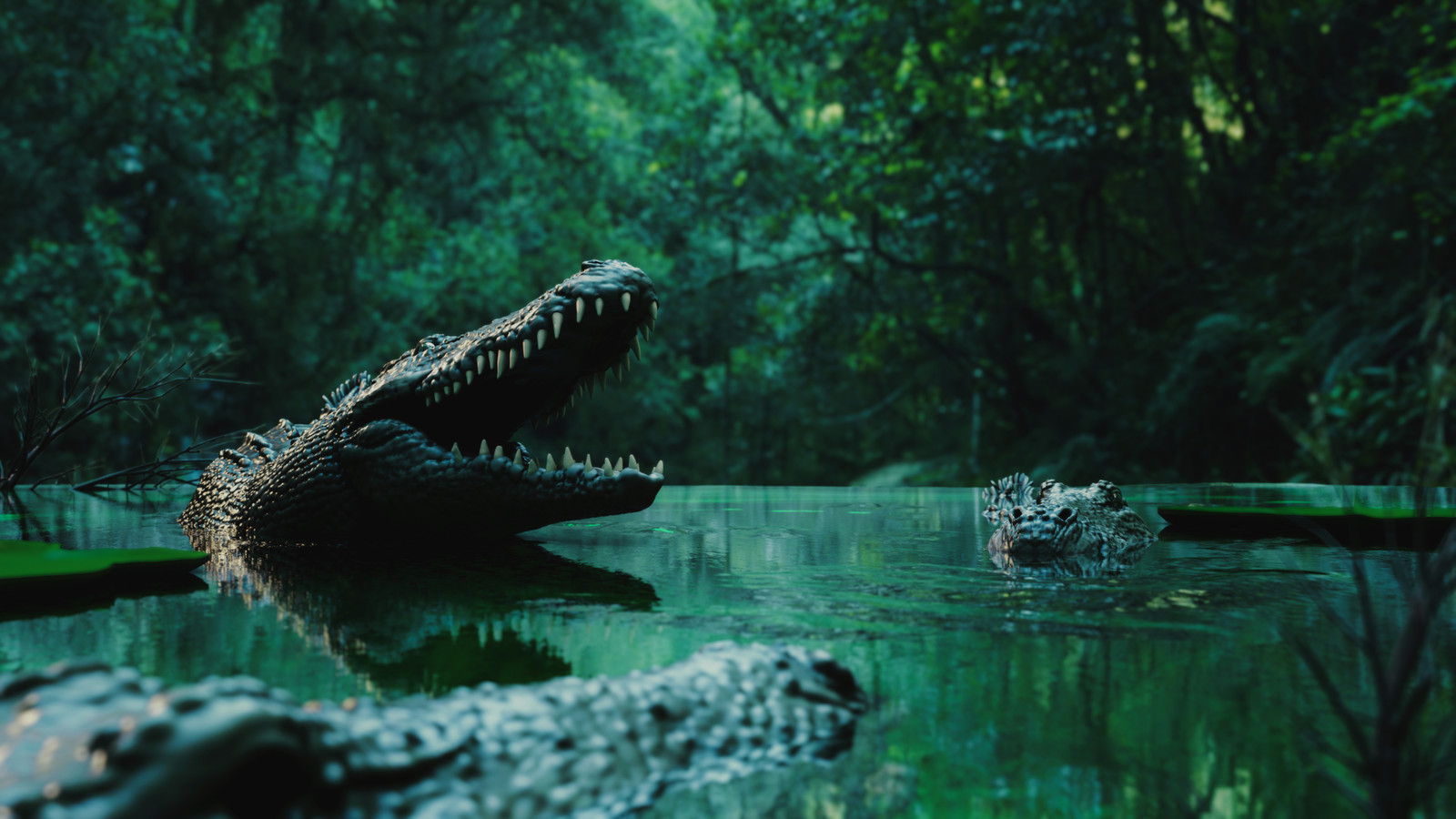 Sandeep Gehlot - Crocodile