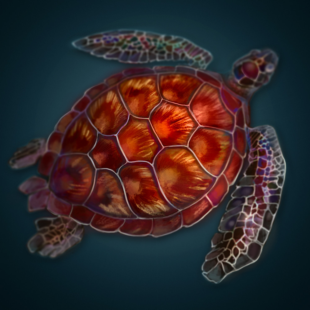 ArtStation - Turtle
