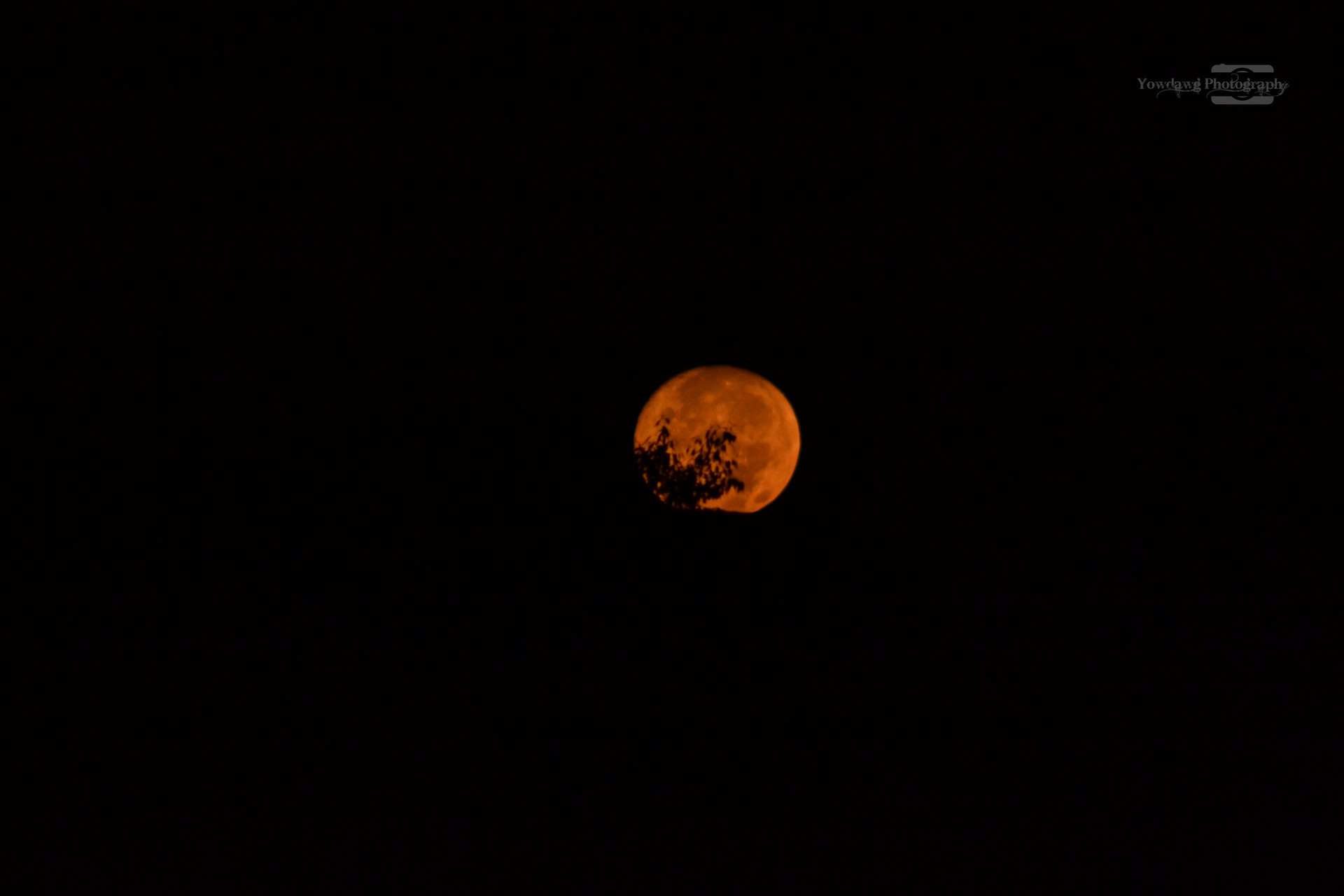 ArtStation - The setting moon