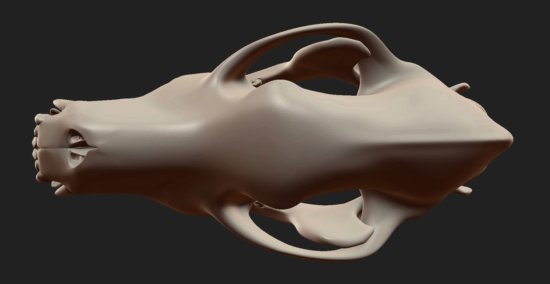 Inês Carrilho - Dog Skull - Orthographic View