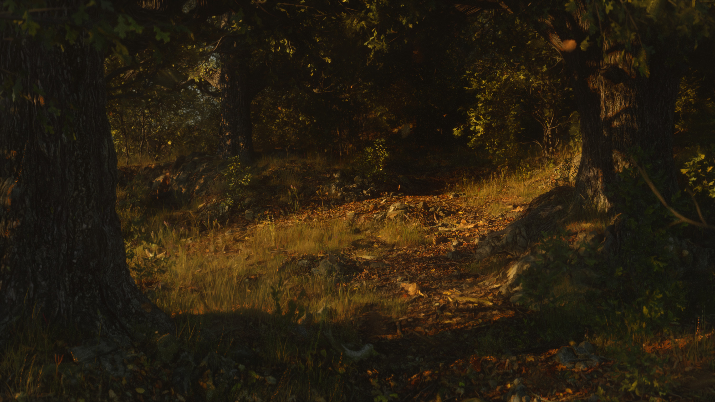 Calder Moore - Oak Forest