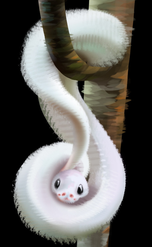 cute python white snake