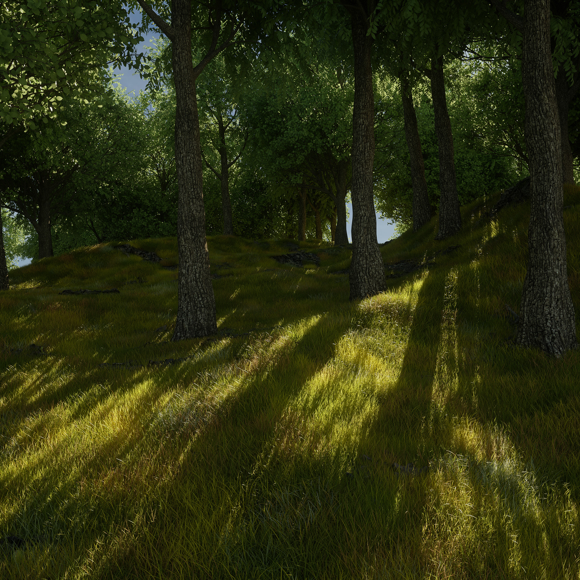 ArtStation - Hillside