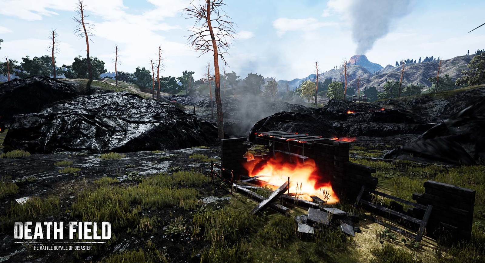 HONG SEOK CHOI - Death Field: The Battle Royale of Disaster