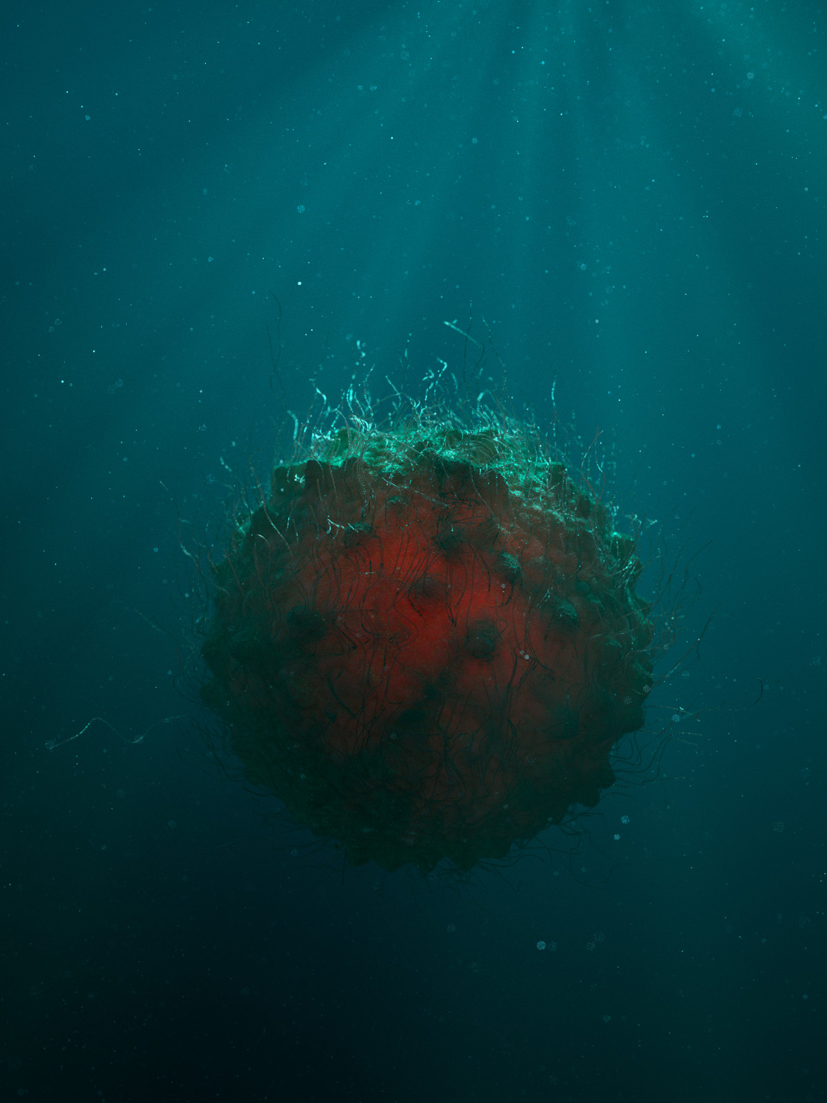 Robert Wilinski - Alien Cell