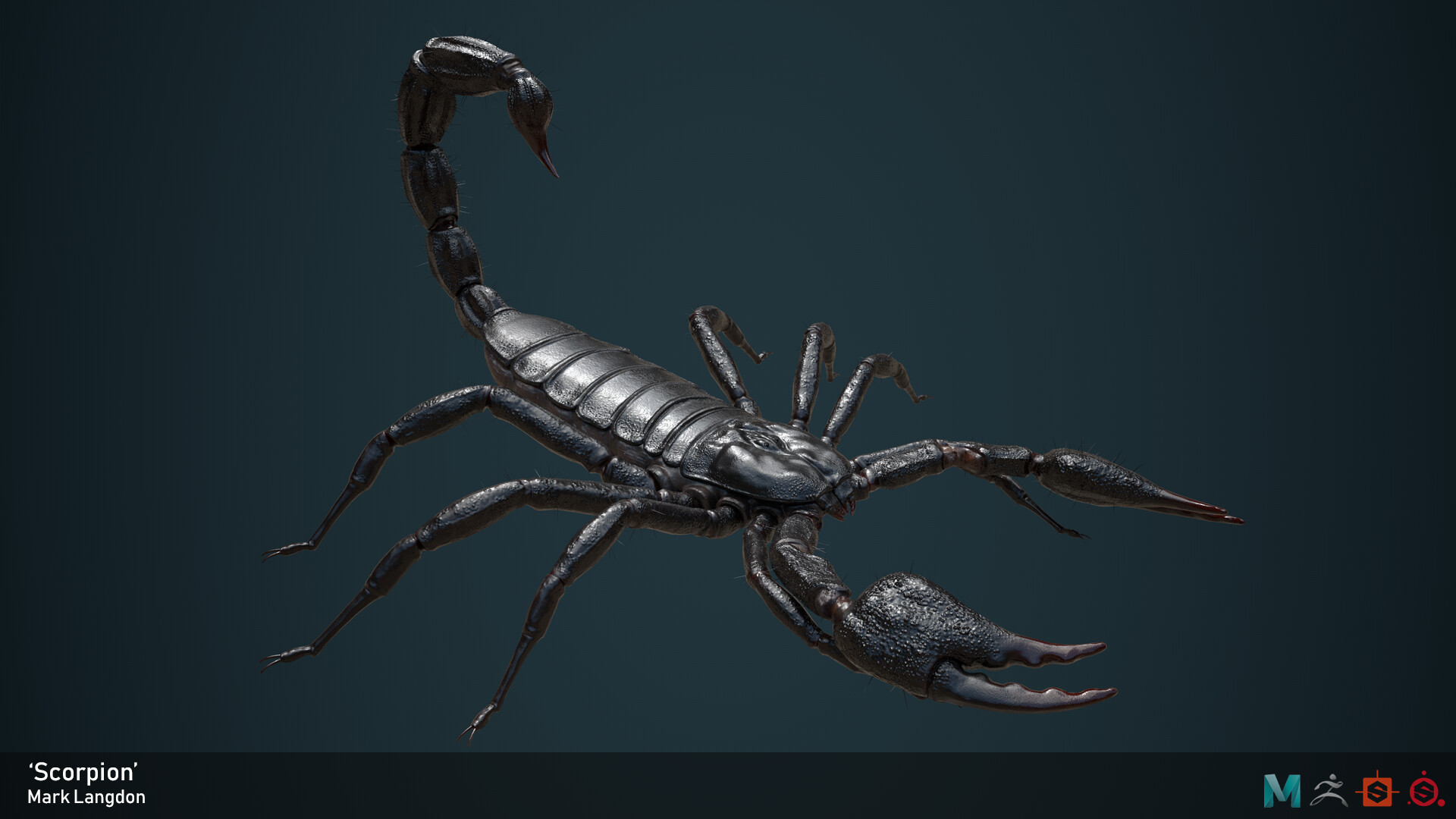 Mark Langdon - Scorpion