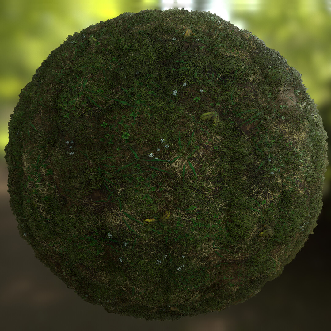 ArtStation - Grass Study