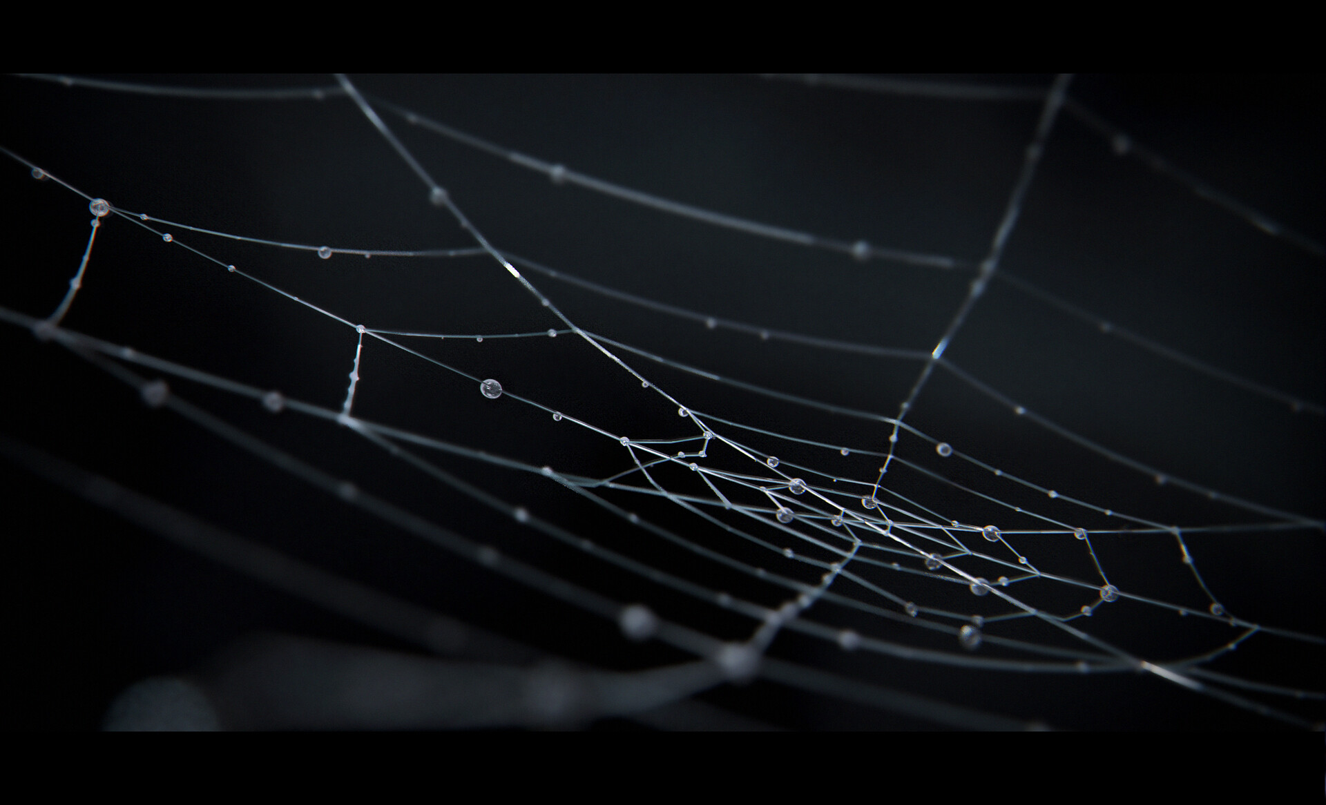 ArtStation - Spider Web