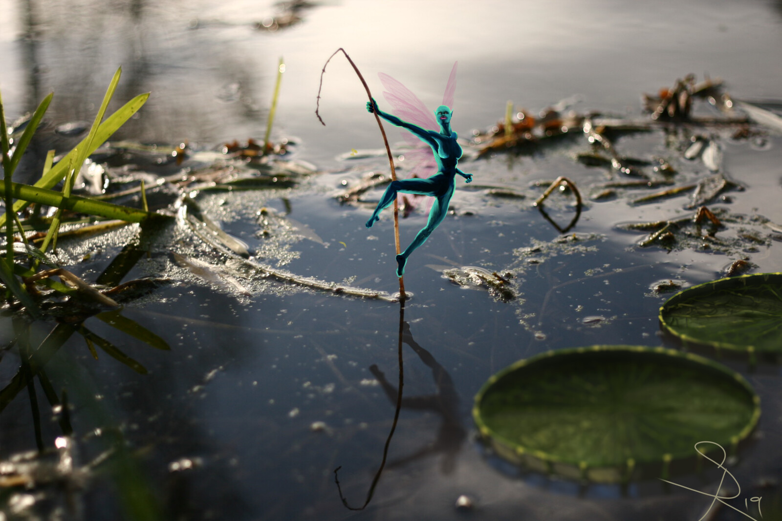 Stuart Rolfe - Pond Life
