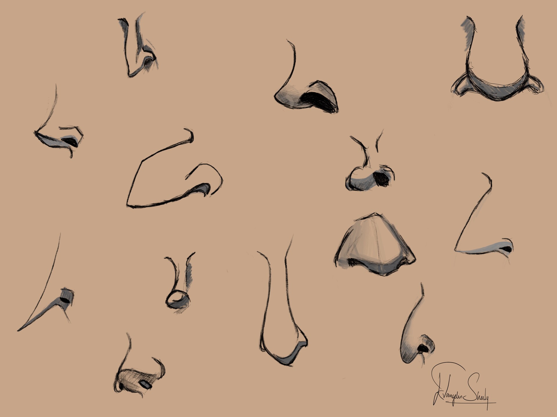 ArtStation - Nose shape study