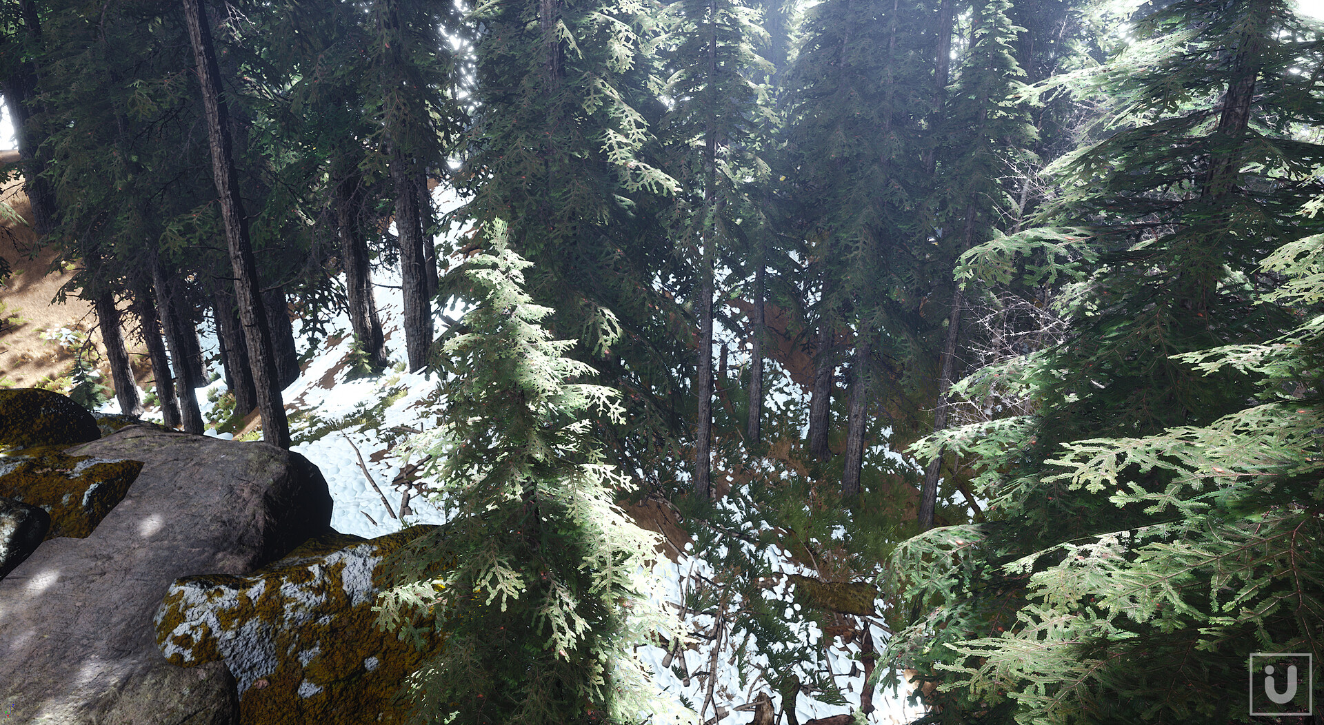 JLE Studios / i-U Asset Studios - Unreal Engine - The Forest ...